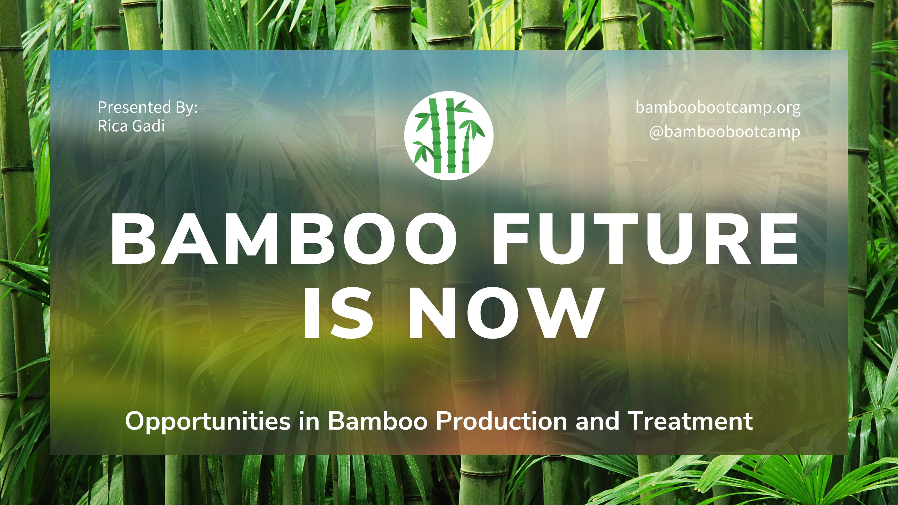 Bamboo Opportunities in Production and Treatment by nowcandoit - Issuu