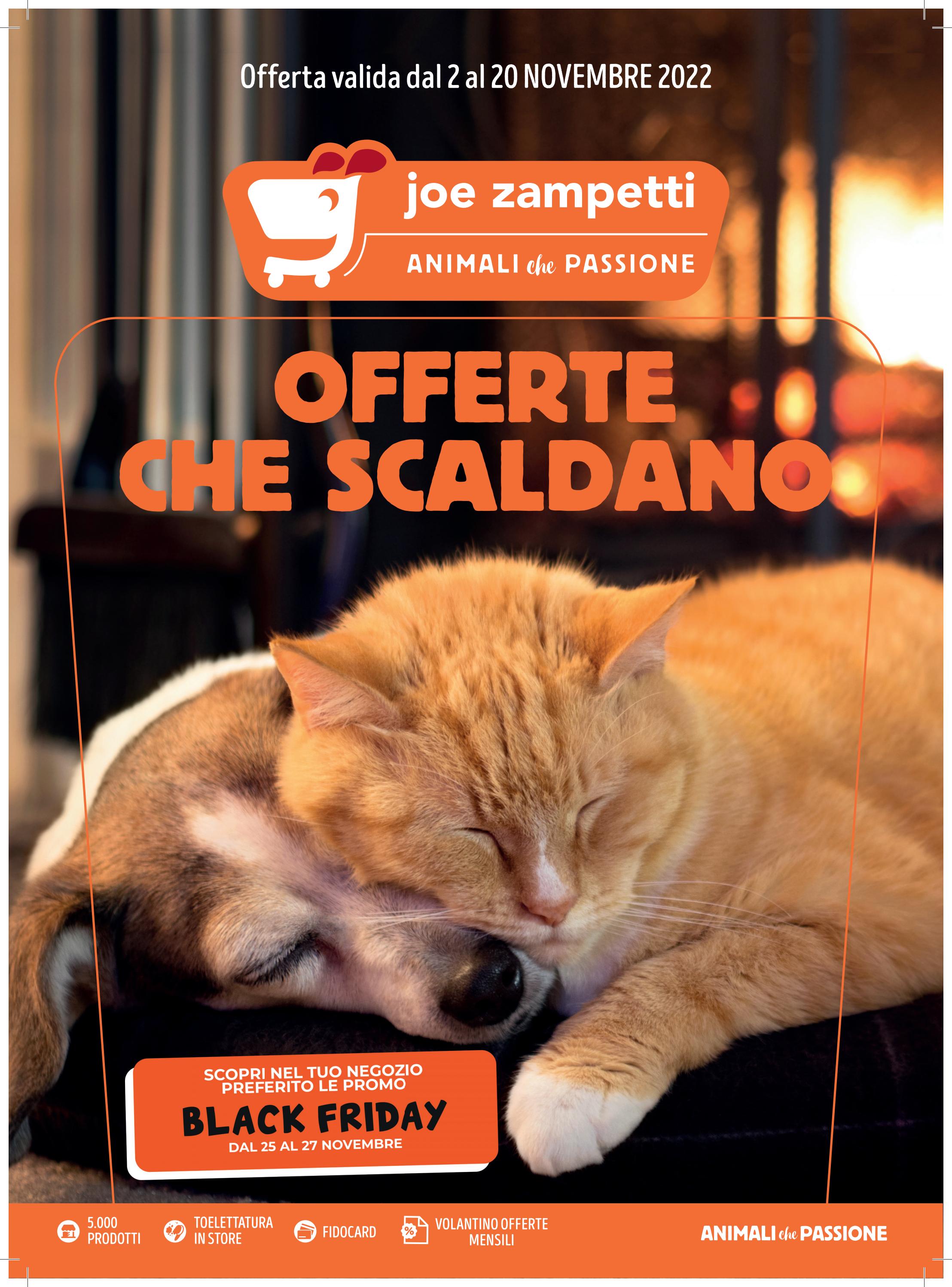 JZ | volantino novembre_22 (normal) by Joe Zampetti - Issuu