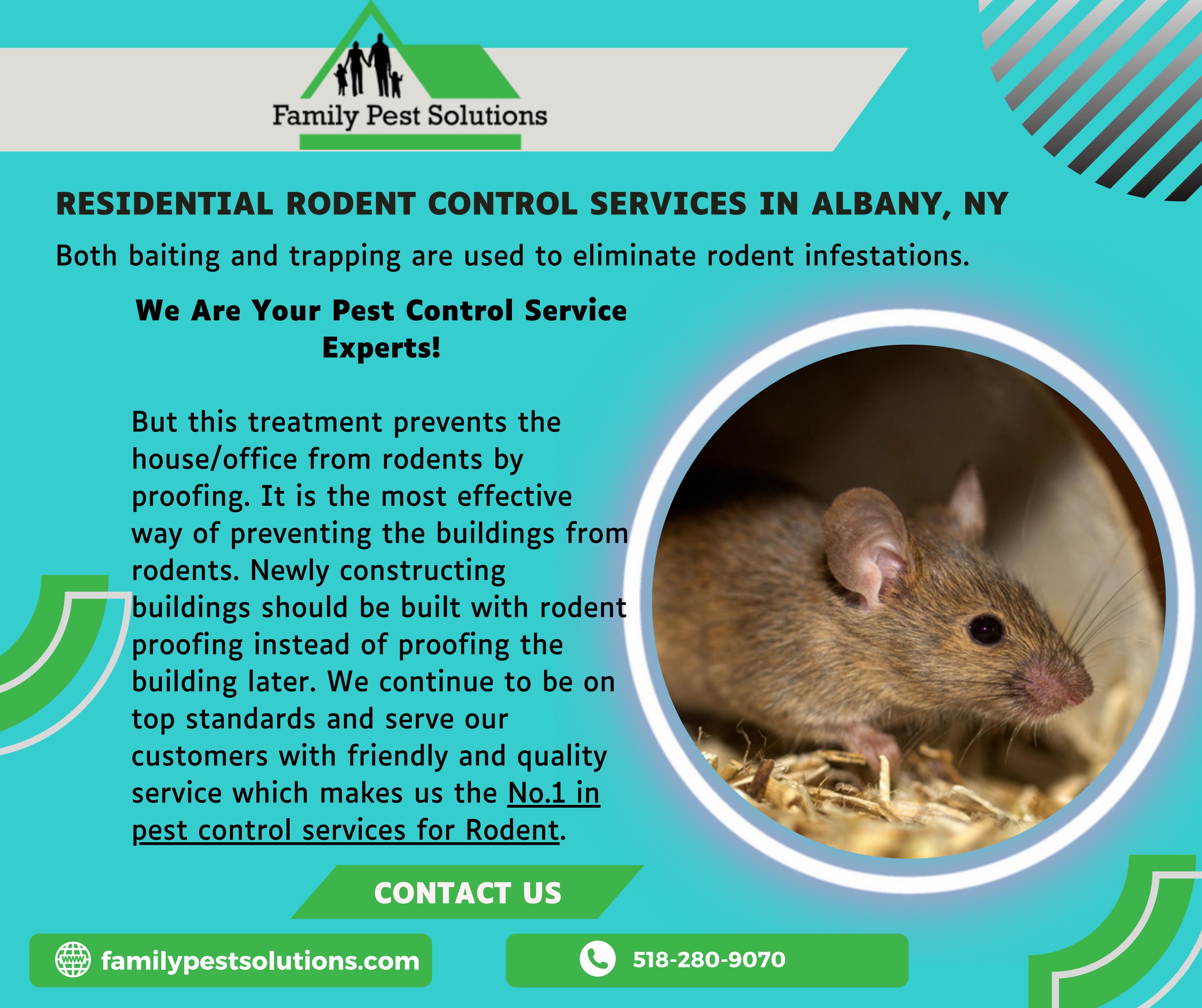 Residential Rodent Control Services in Albany, NY by PeterParkar - Issuu