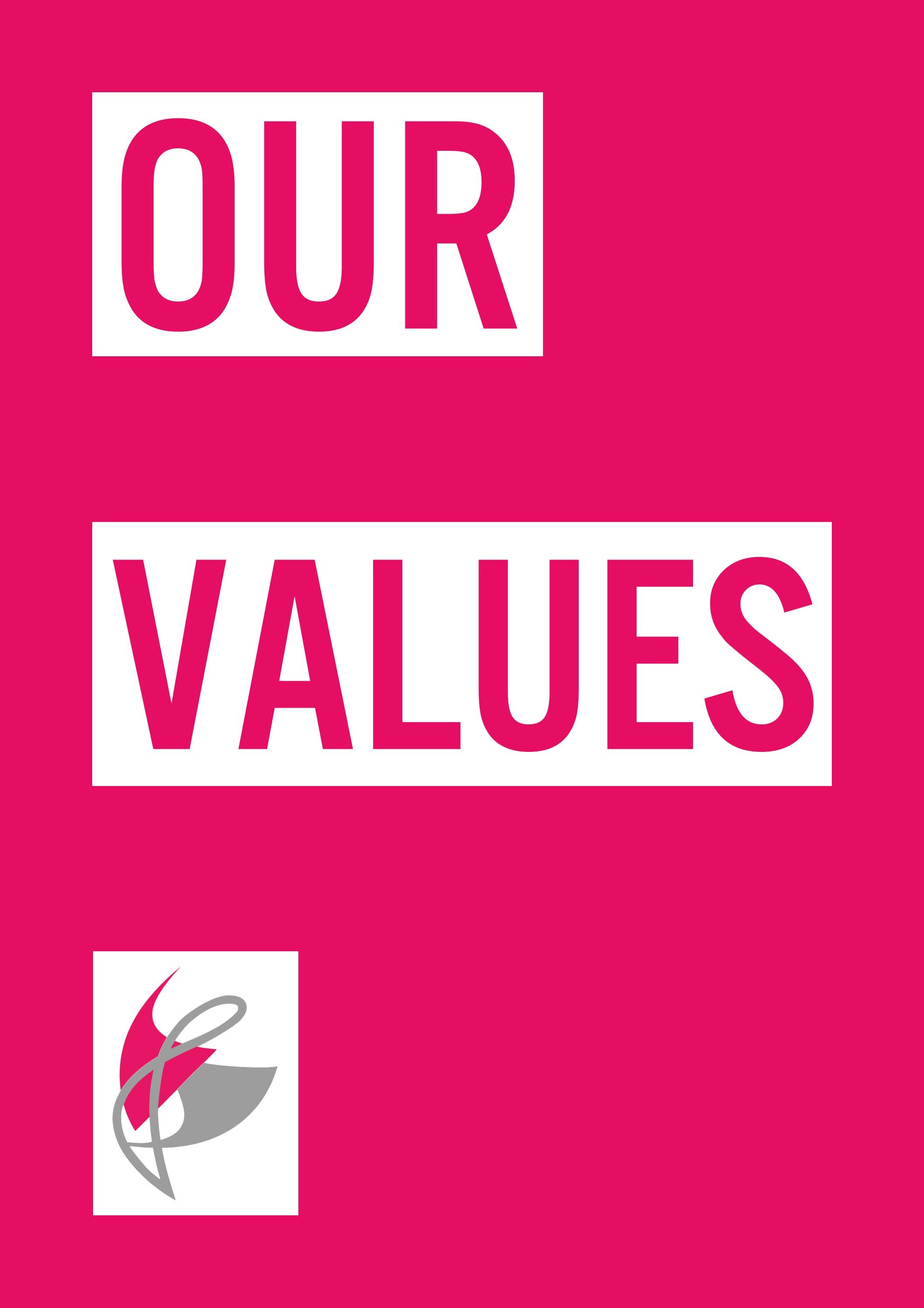 CHS South Values by Schudio - Issuu