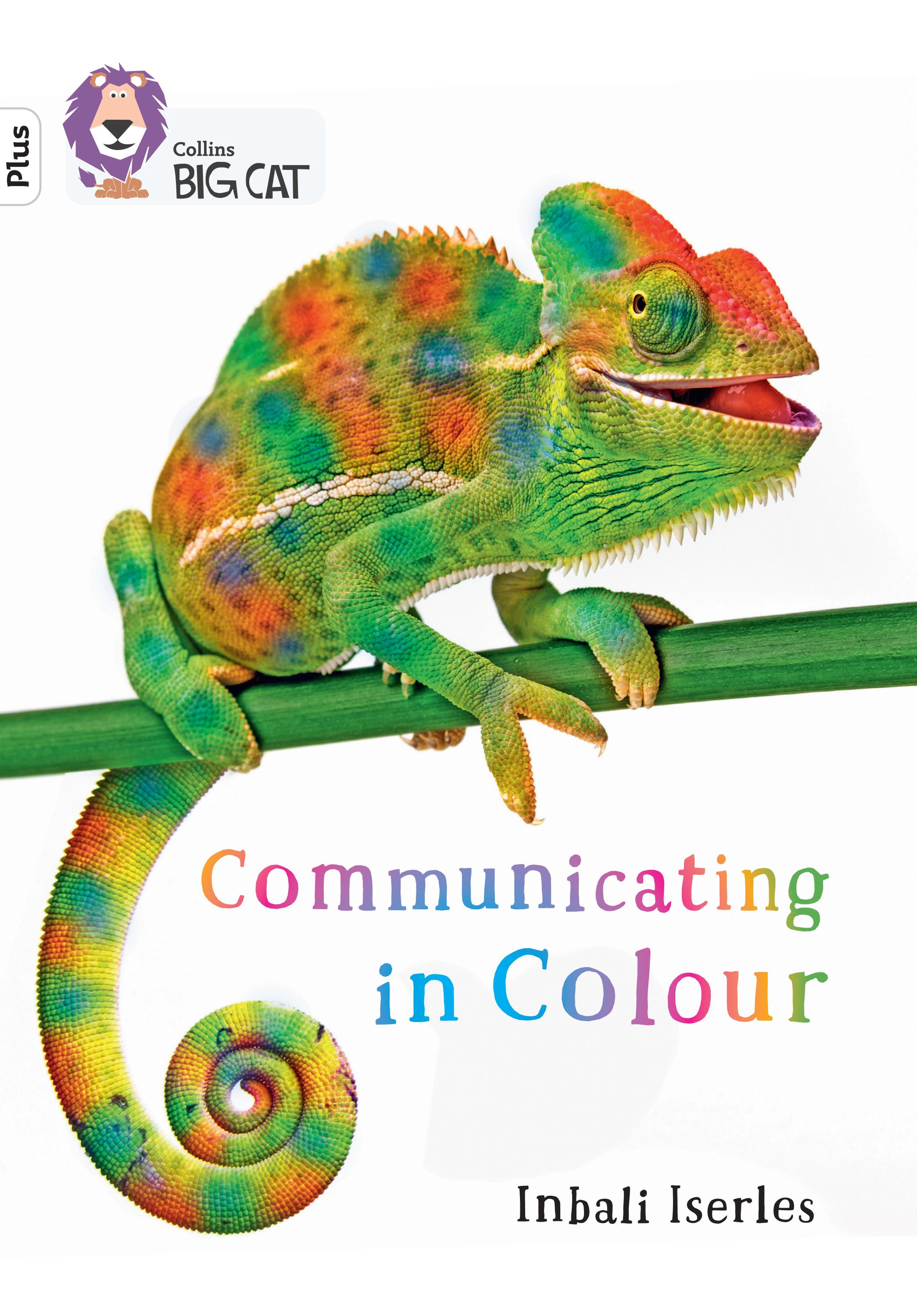 Communicating in Colour KS2 by Collins - Issuu