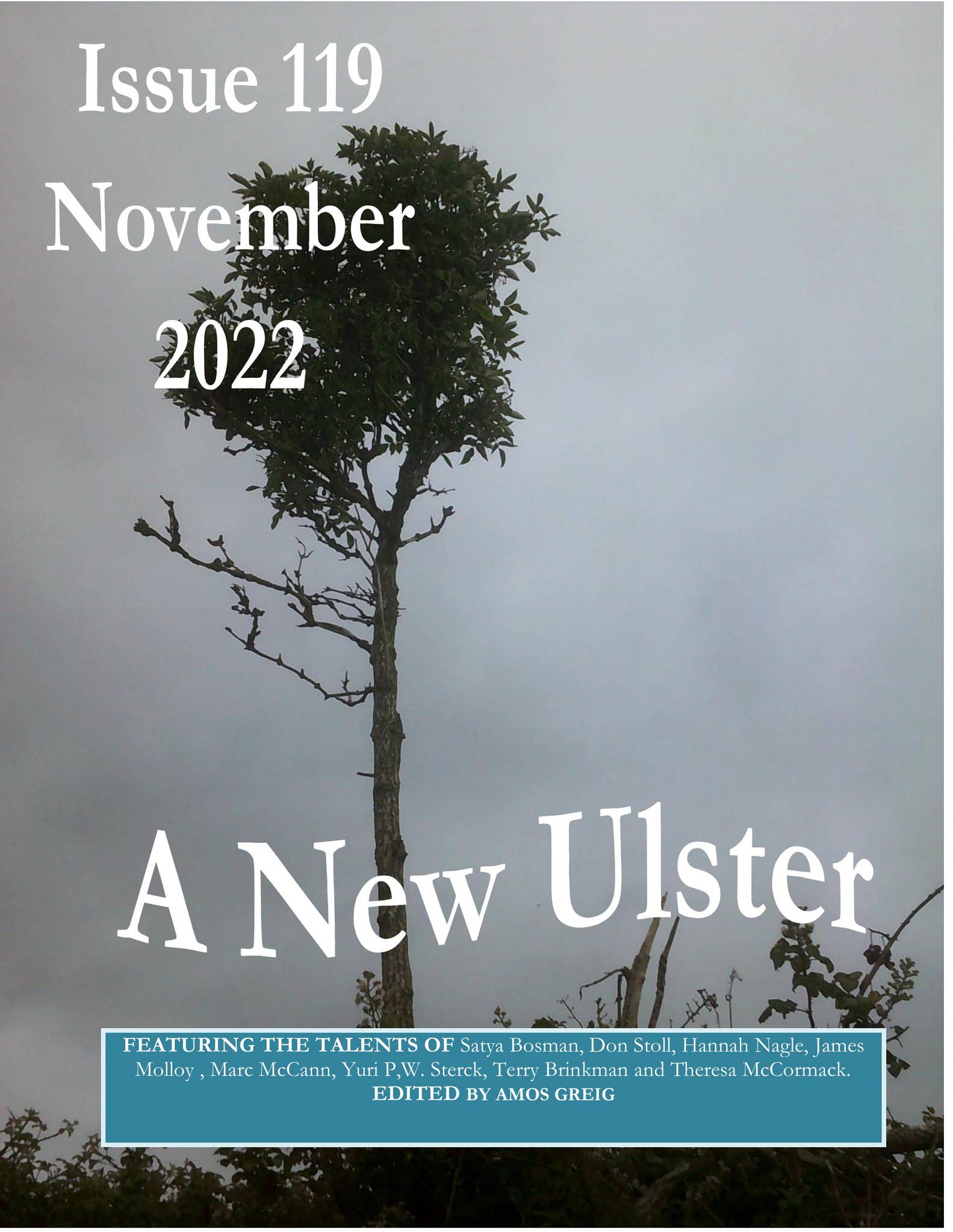 A New Ulster 119 by Amos Greig - Issuu