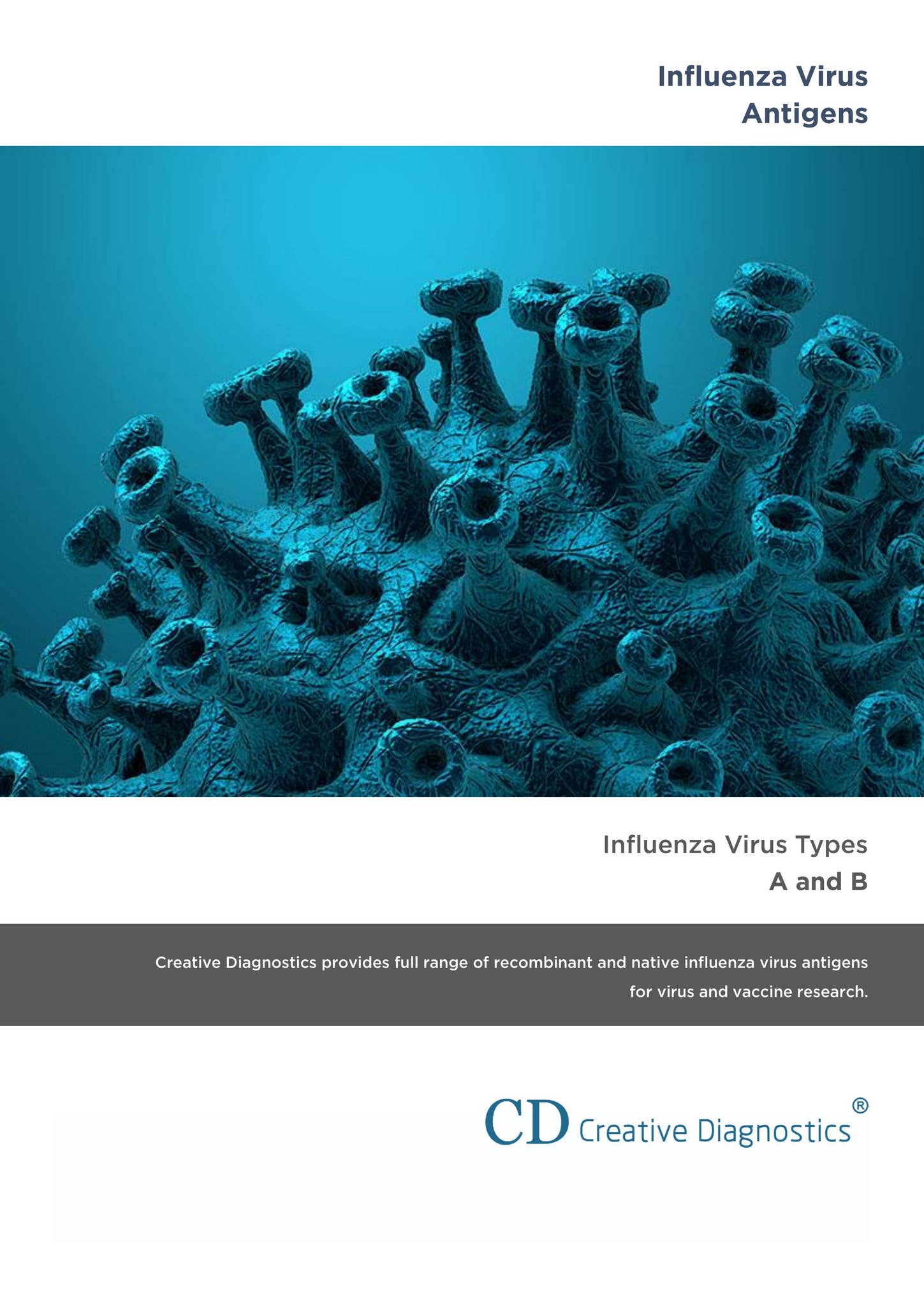 Influenza Virus Antigens by Creative Diagnostics - Issuu