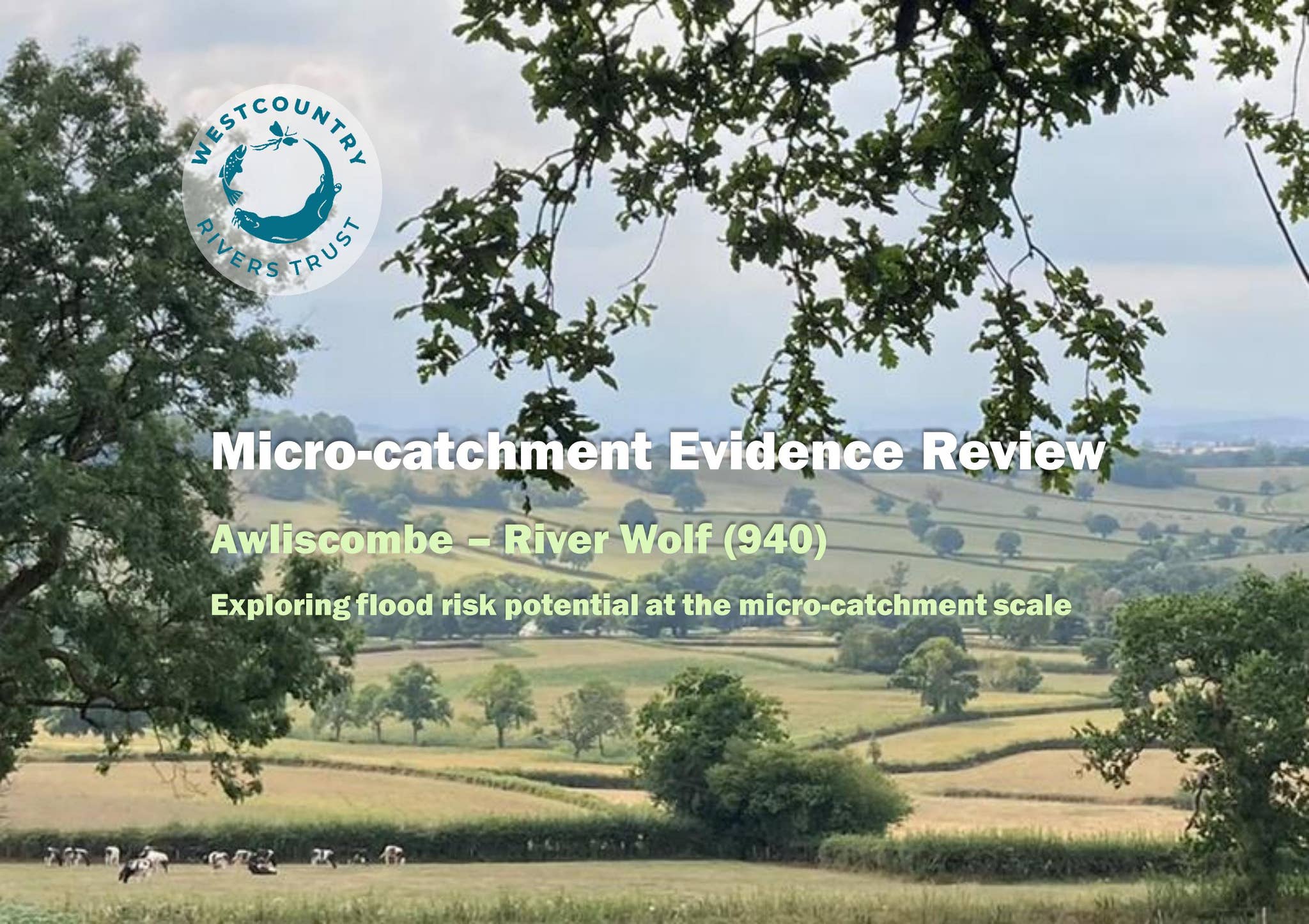Awliscombe - River Wolf - Micro-catchment Evidence Review by ...