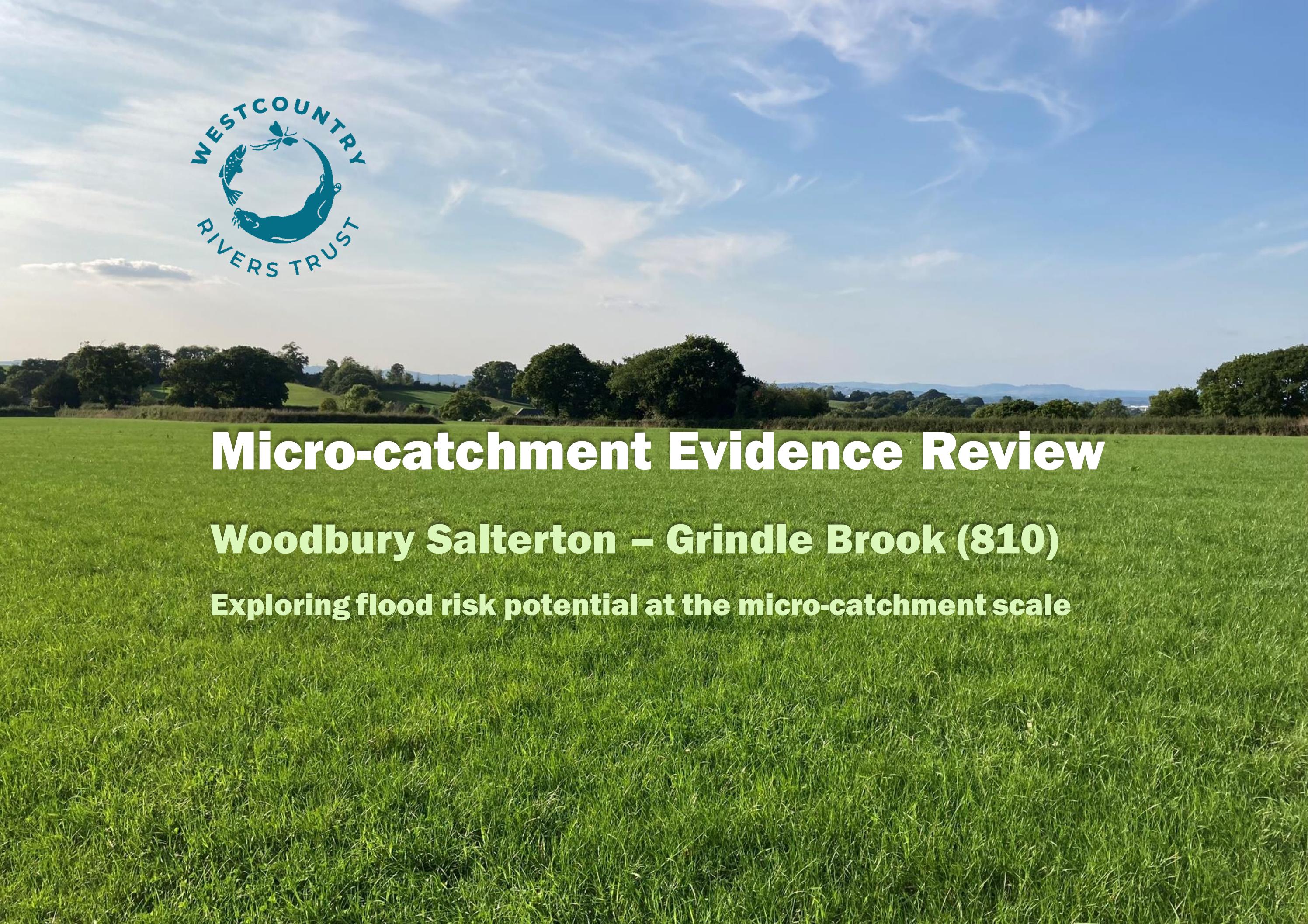 Woodbury Salterton - Grindle Brook - Micro-catchment Evidence Review by ...