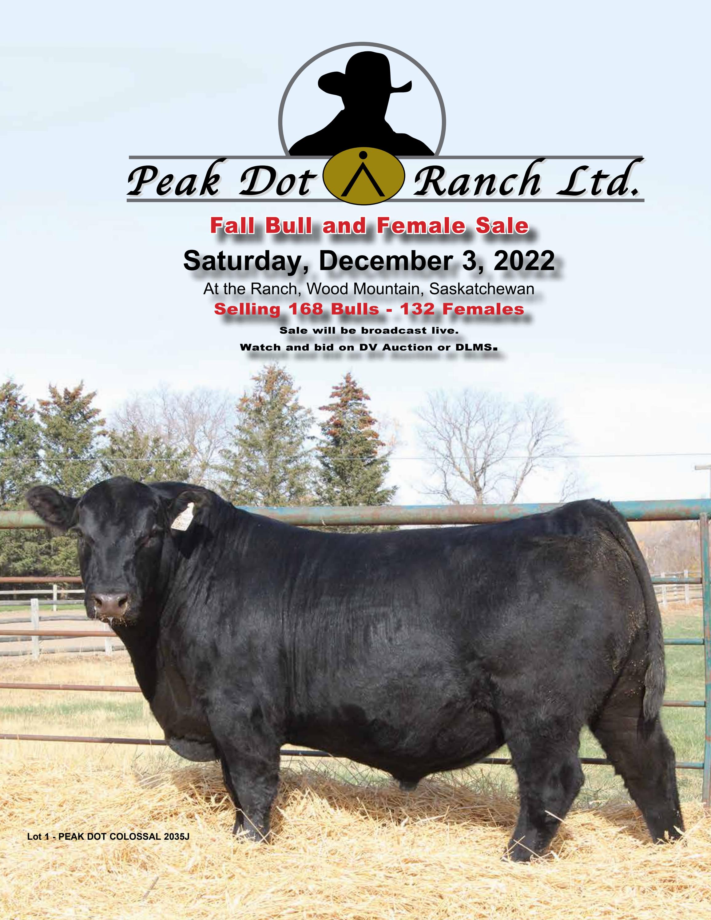 Peak Dot Ranch 2022 Fall Bull & Female Sale by Everything Angus - Issuu