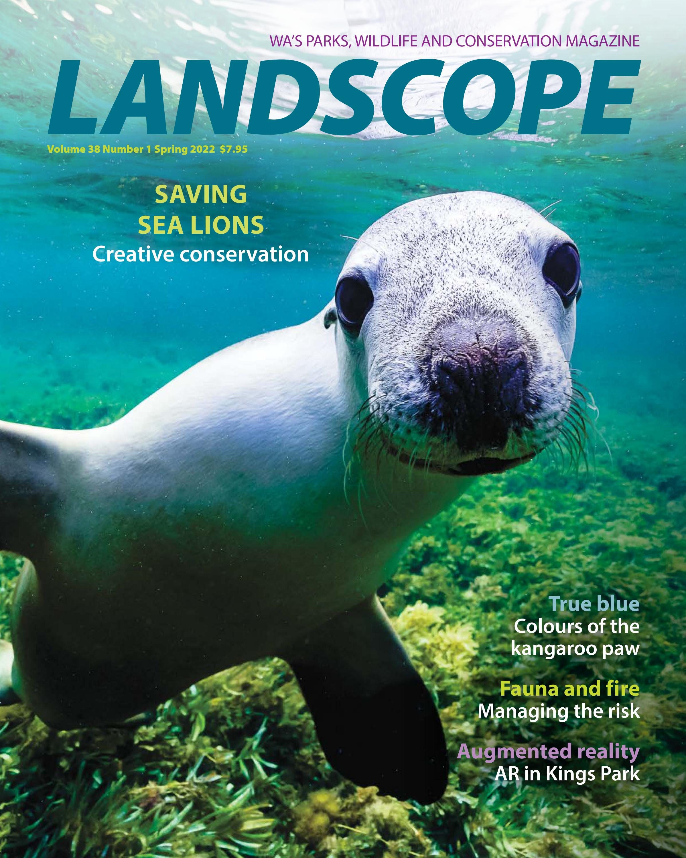LANDSCOPE Sprin g 2022 - PREVIEW by WA Naturally - Issuu