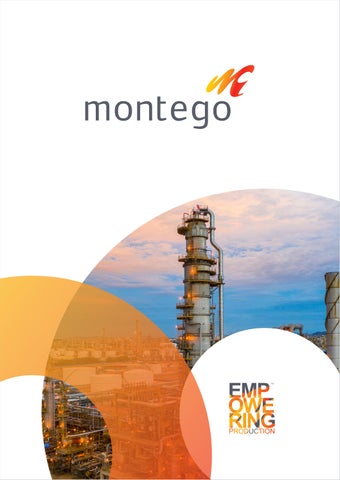 Montego Company Profile by montegogroup - Issuu