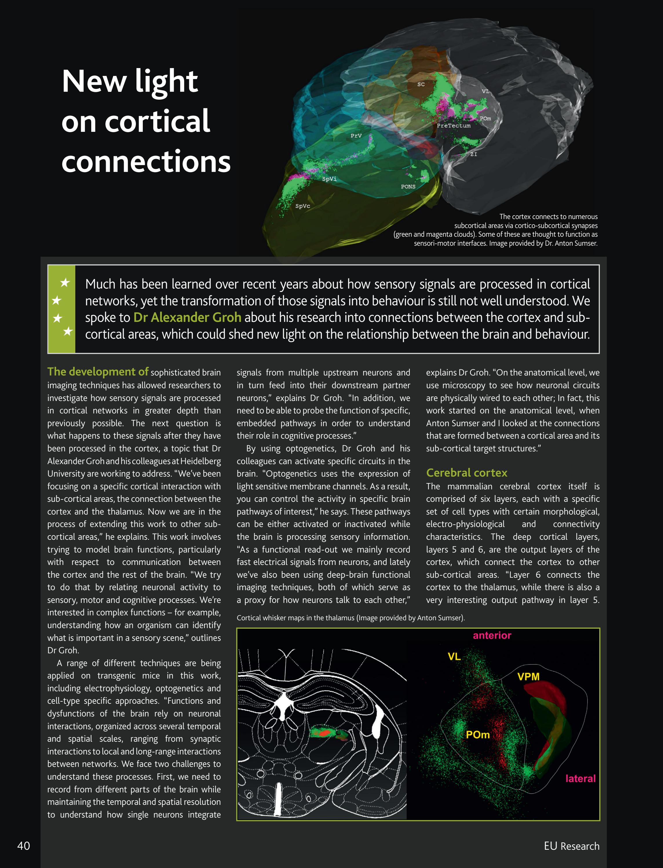 Neuronal mechanisms by Blazon Publishing and Media Ltd - Issuu