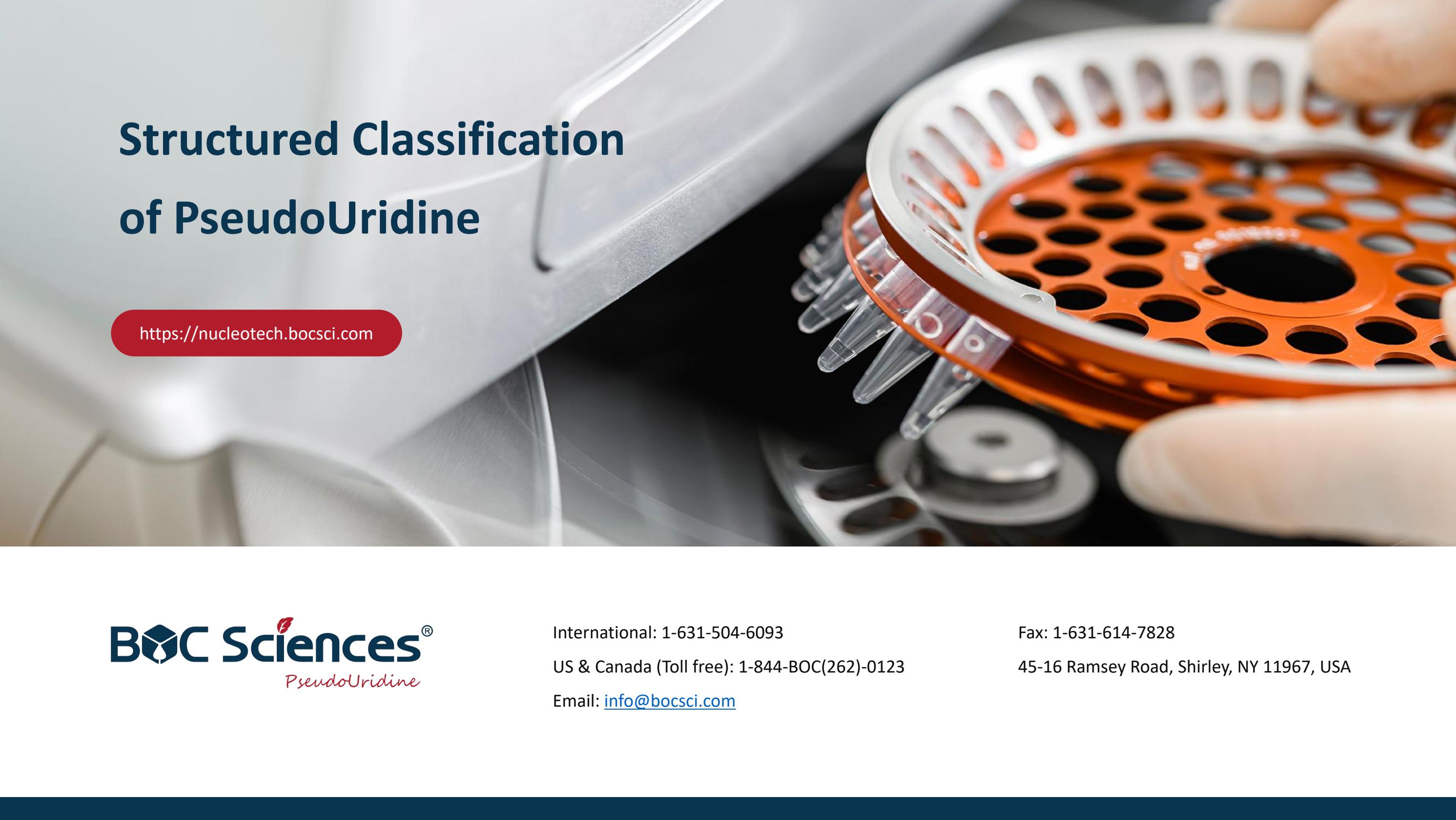 Structured Classification of PseudoUridine by Marina Barrow - Issuu