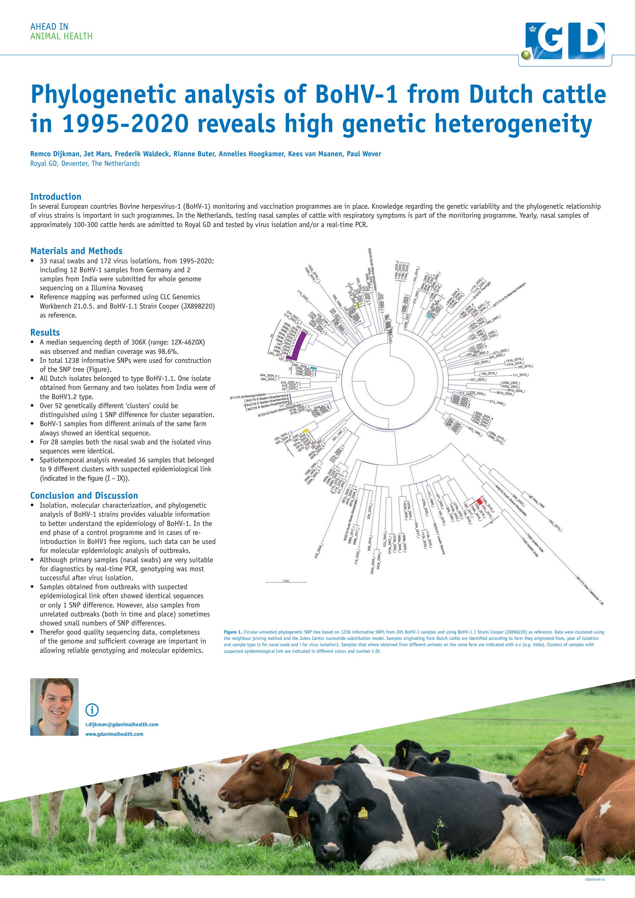 Phylogenetic analysis of BoHV-1 from Dutch cattle in 1995-2020 reveals ...