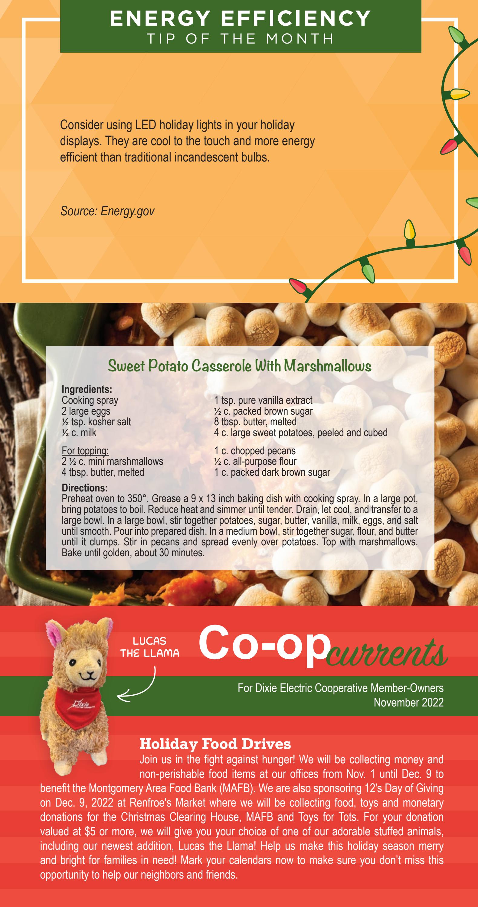 2022 November Dixie Electric Cooperative Bill Stuffer by Inside ...