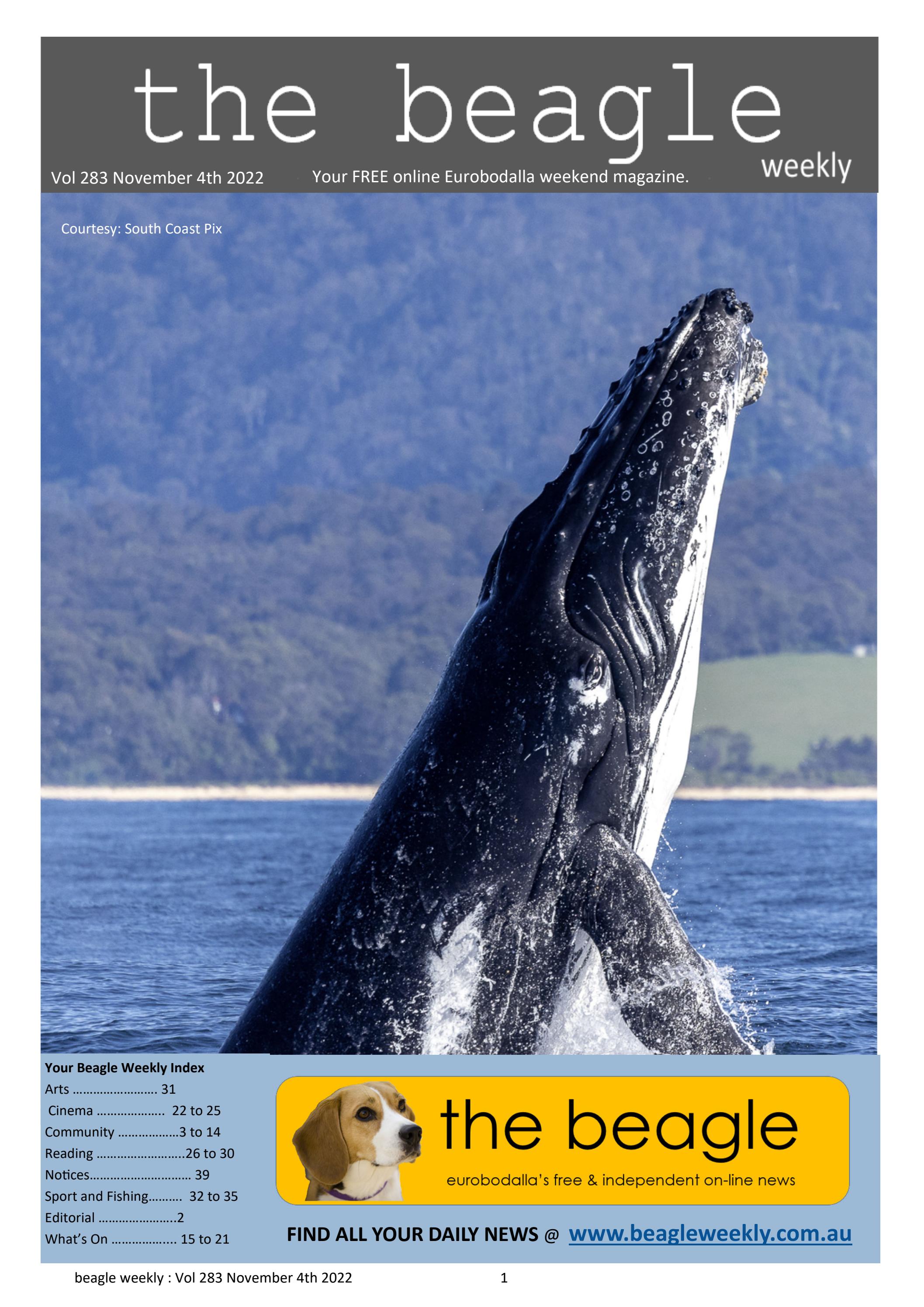 Beagle Weekender Vol 283 November 4th 2022 by beagleabode - Issuu