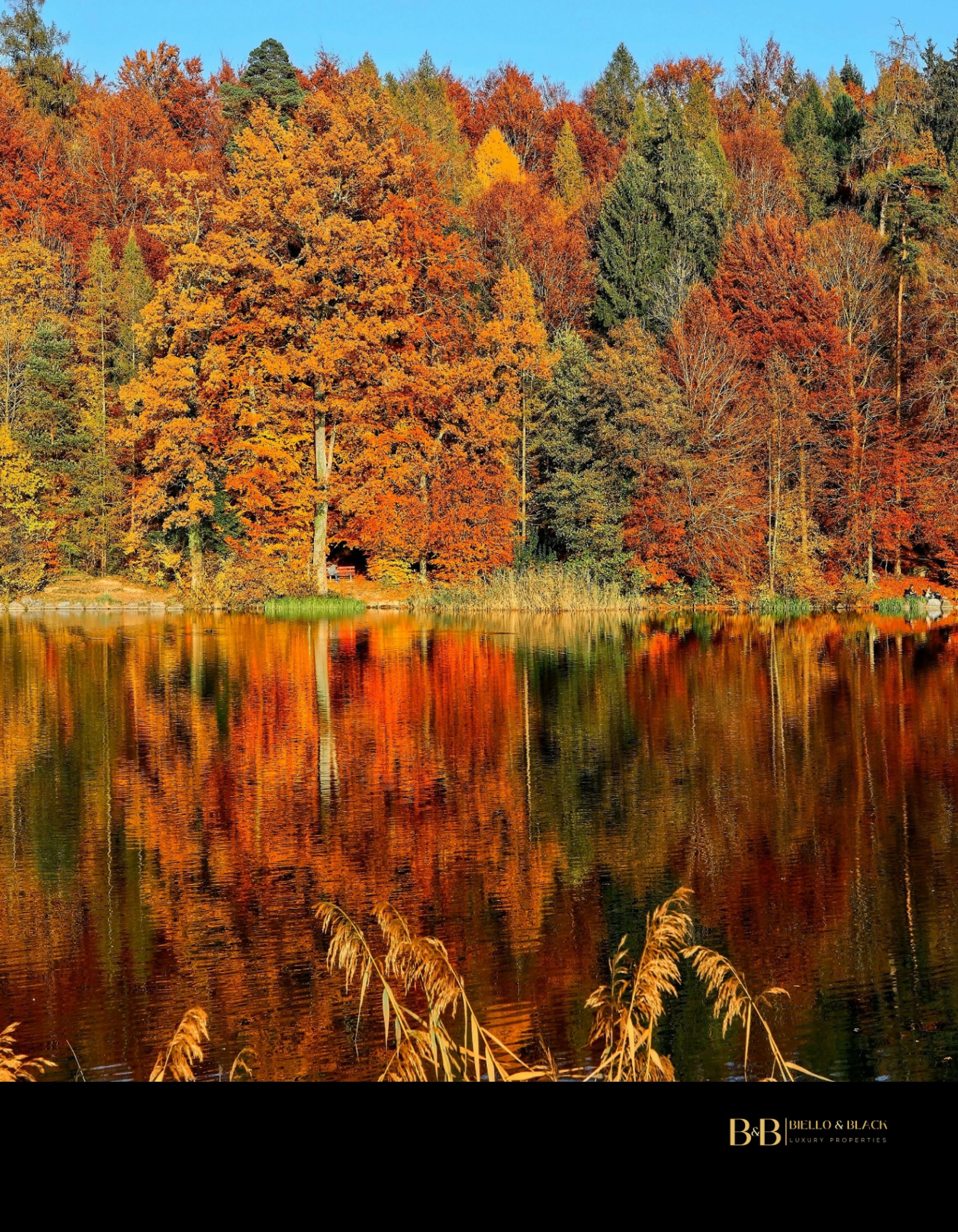 Bucks County Brochure by bielloandblack - Issuu