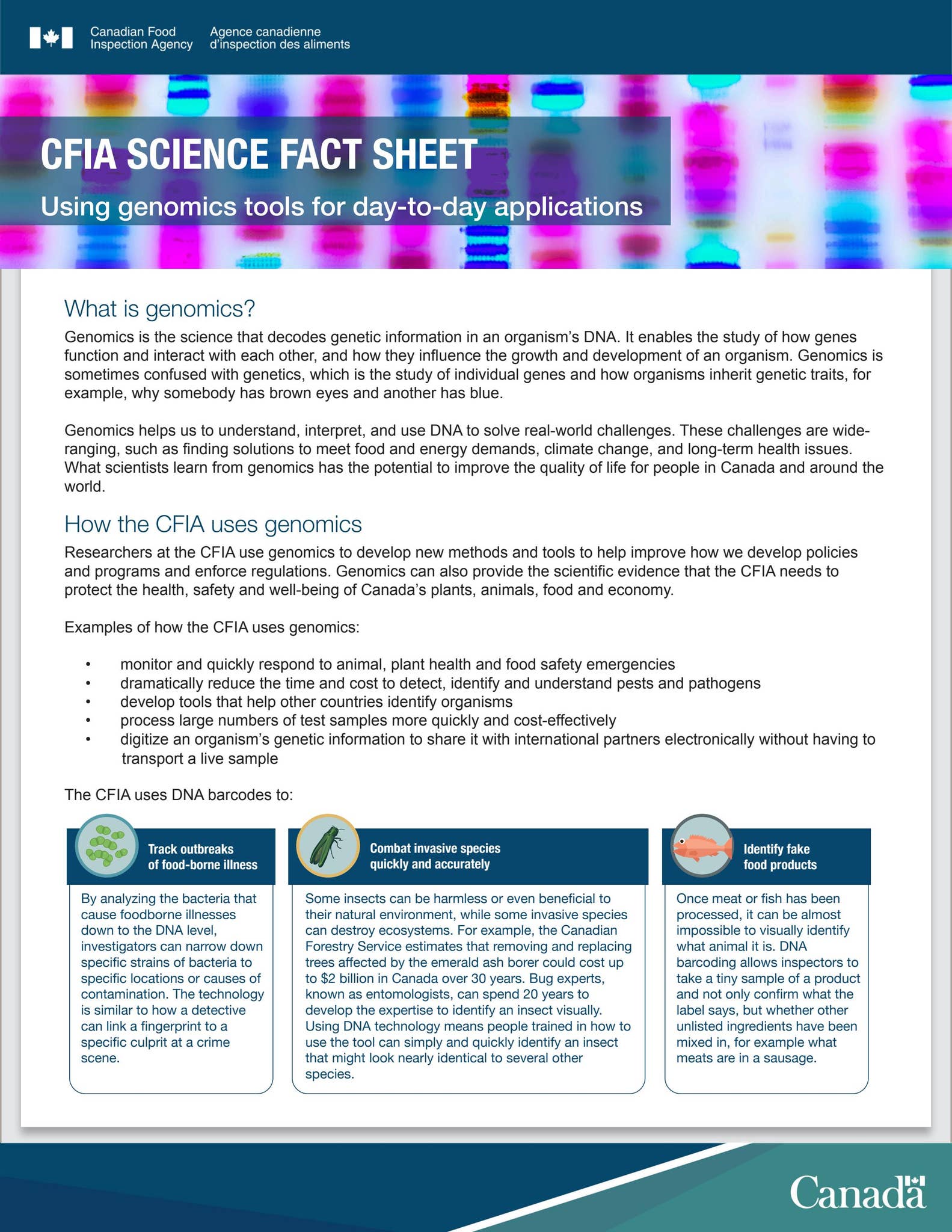 CFIA (Plain Language Science Fact Sheets) by NIVA Inc. - Issuu
