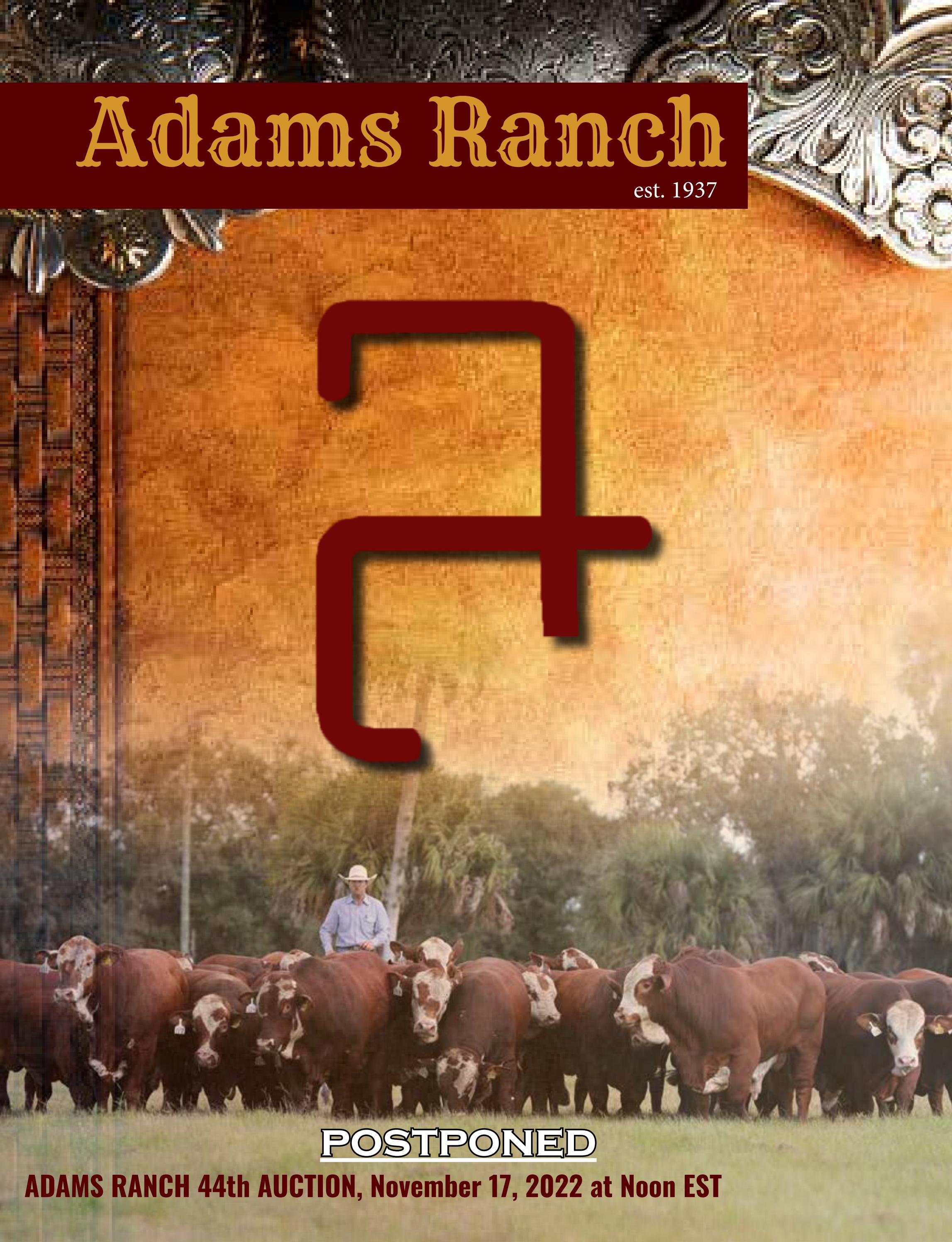 POSTPONED - ADAMS RANCH 44th AUCTION - ANNUAL BULL AND HEIFER AUCTION ...