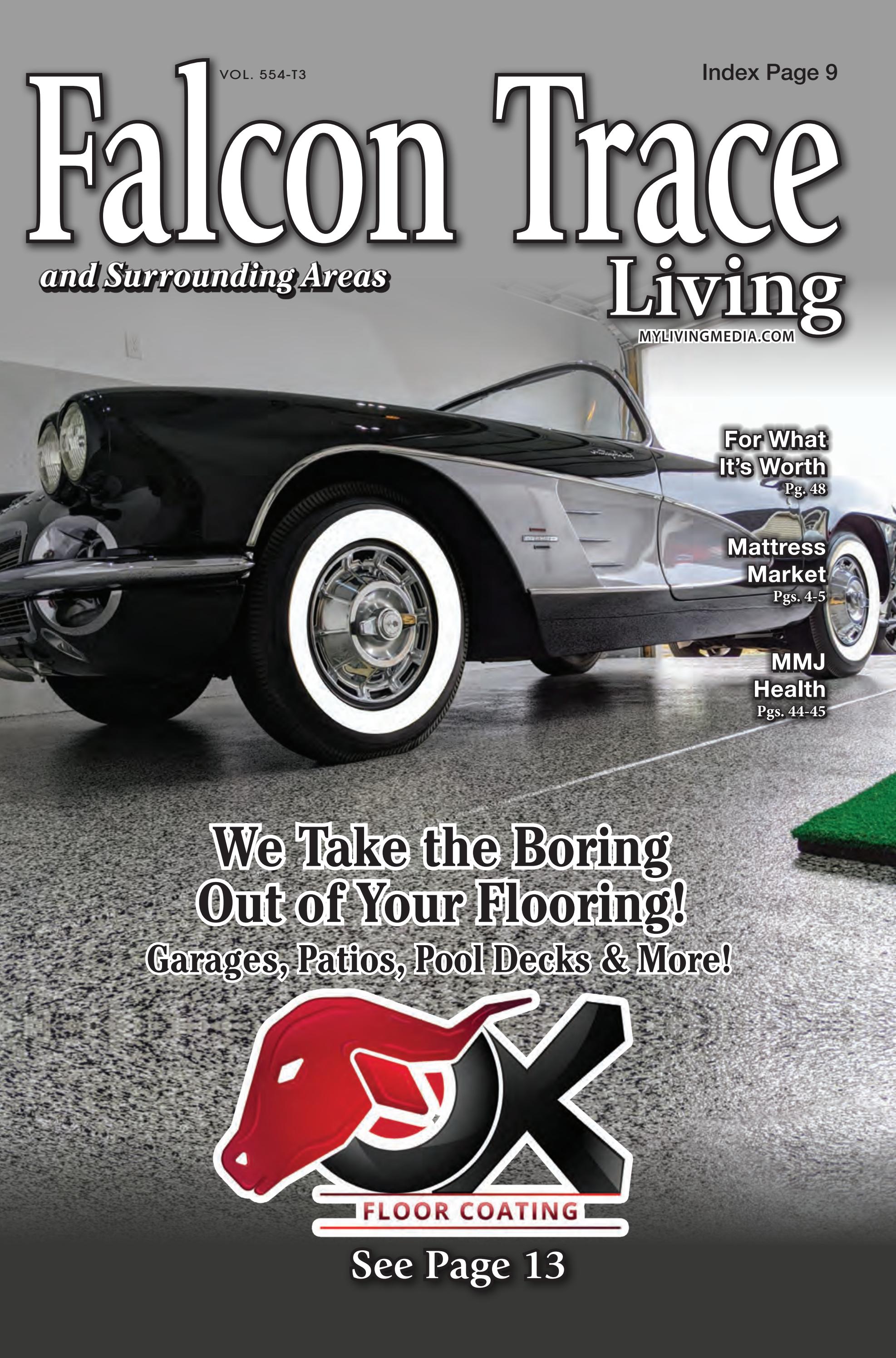 T3-Falcon Trace Living & Surrouding Areas-Vol.554 by My Living Magazines - Issuu