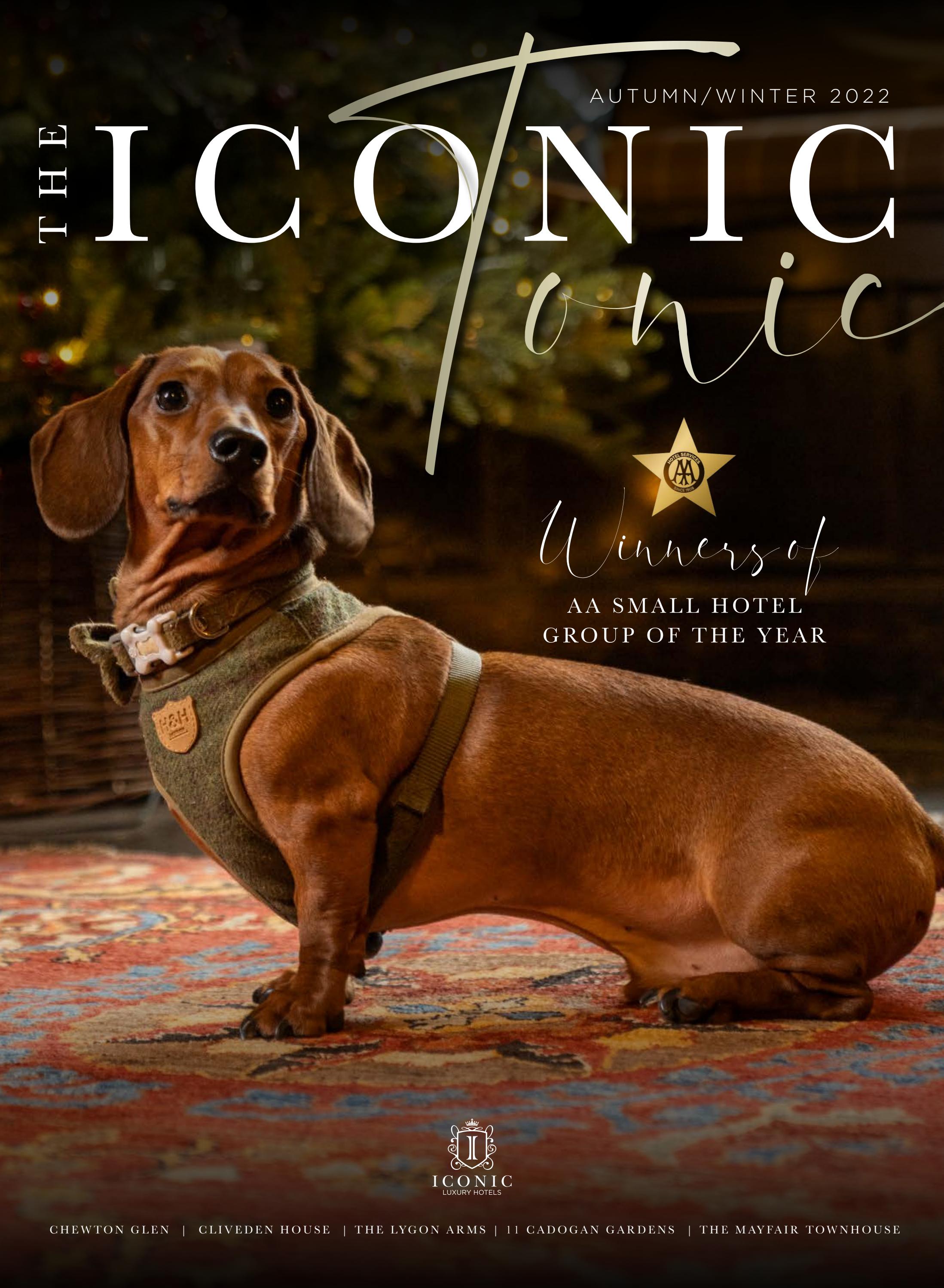 Iconic Tonic Autumn/Winter 2022 by Iconic Luxury Hotels - Issuu