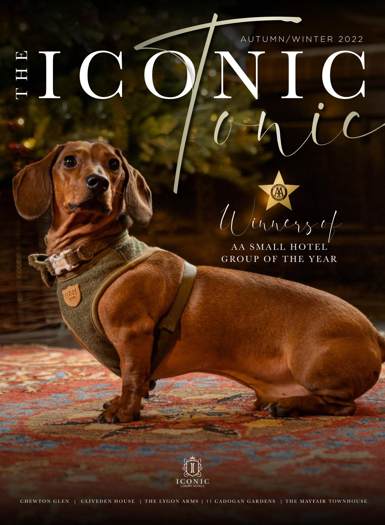 Iconic Tonic Autumn/Winter 2022 by Iconic Luxury Hotels - Issuu