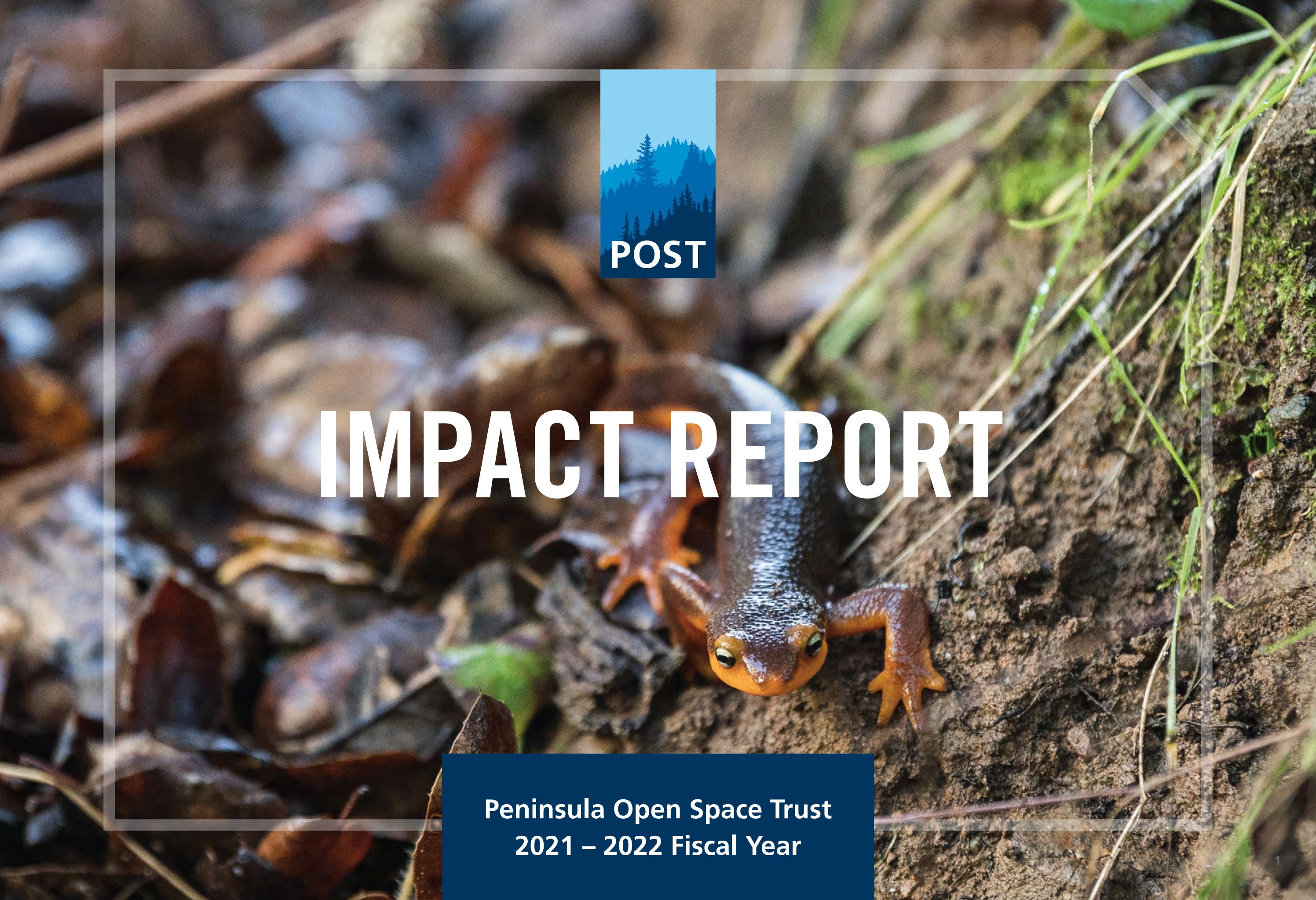 POST Impact Report: 2021 – 2022 by Peninsula Open Space Trust - Issuu