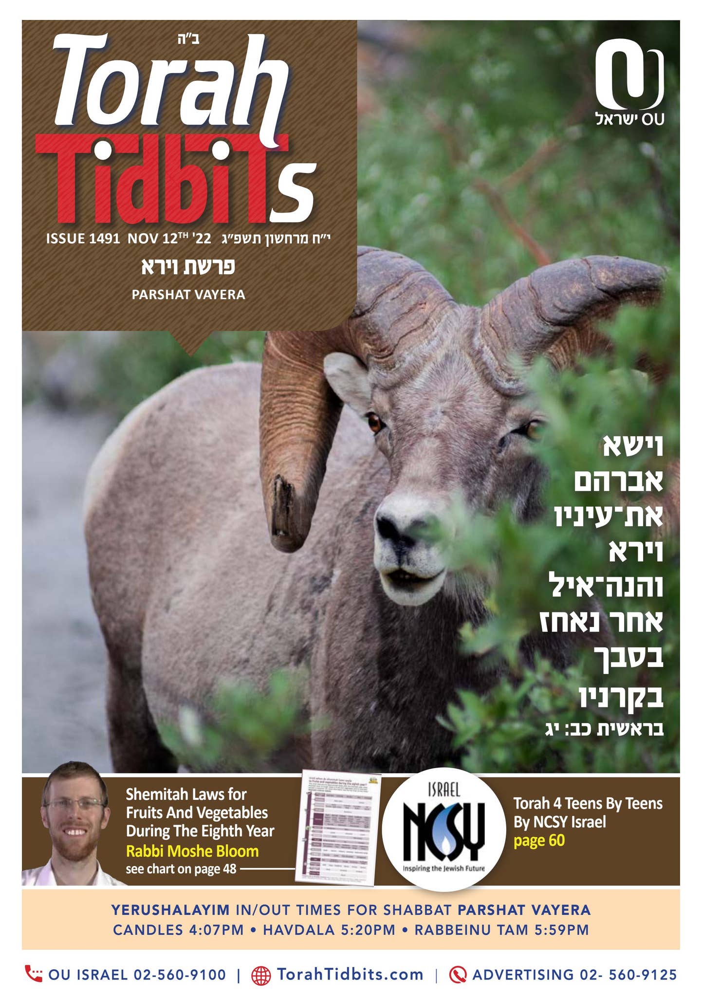 OU Israel Center Torah Tidbits - Parshat Vayera 5783 by Orthodox Union ...