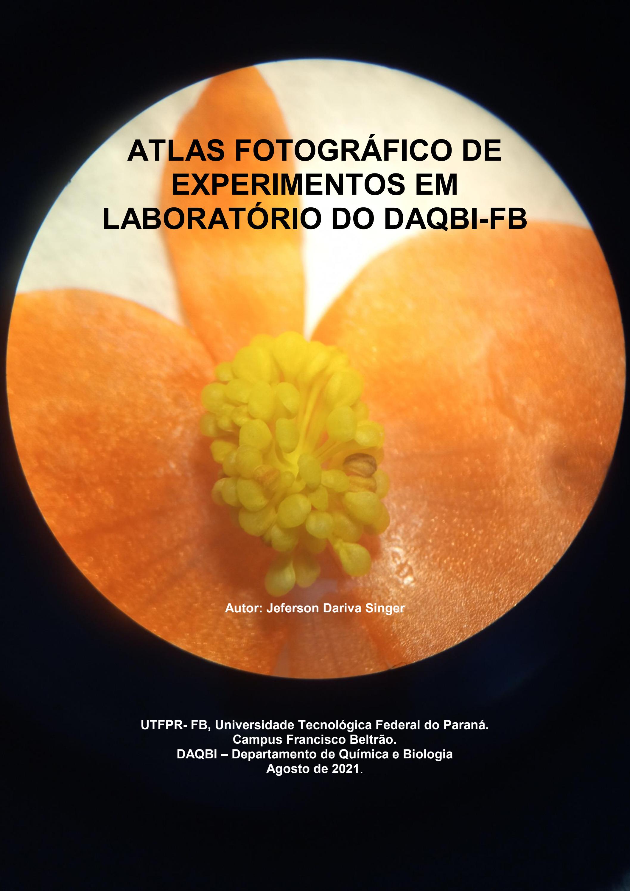 Atlas Fotográfico de Experimentos em Laboratório do DAQBI-FB | BIPAC ...