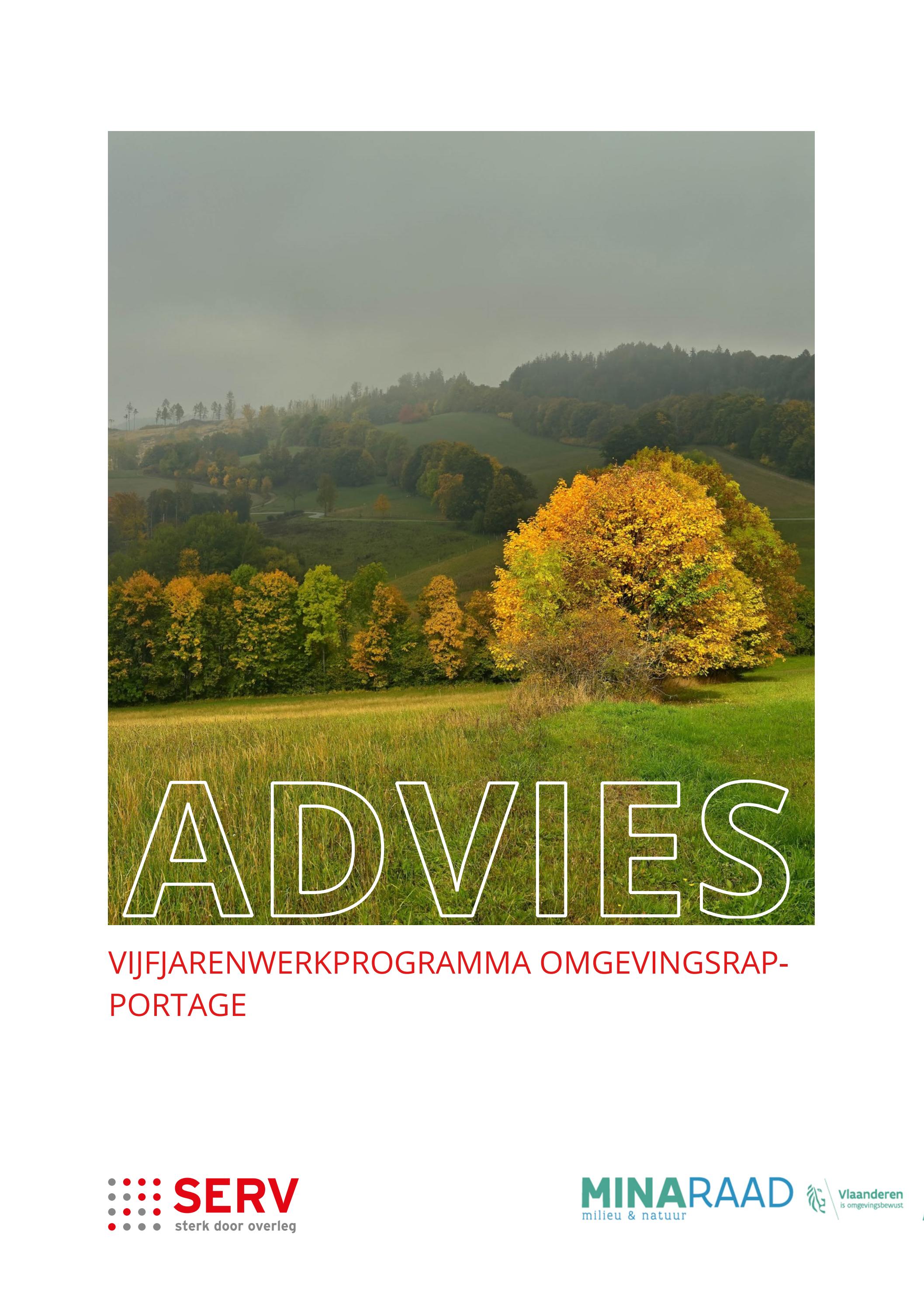 SERV_Minaraad_20221031_5WPOR_ADV.pdf by Vlaanderen-be - Issuu