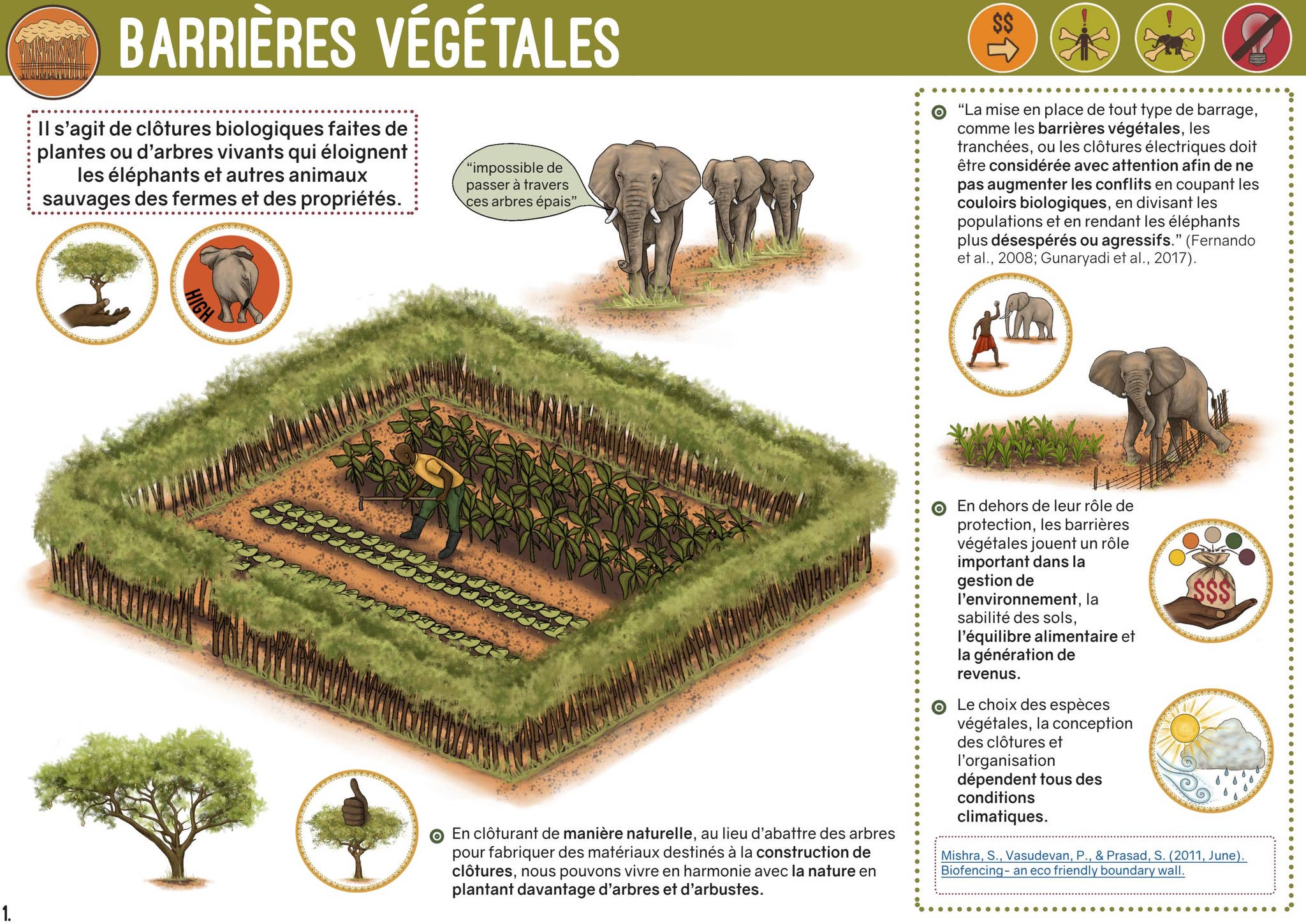 Barrières végétales by Save The Elephants - Issuu