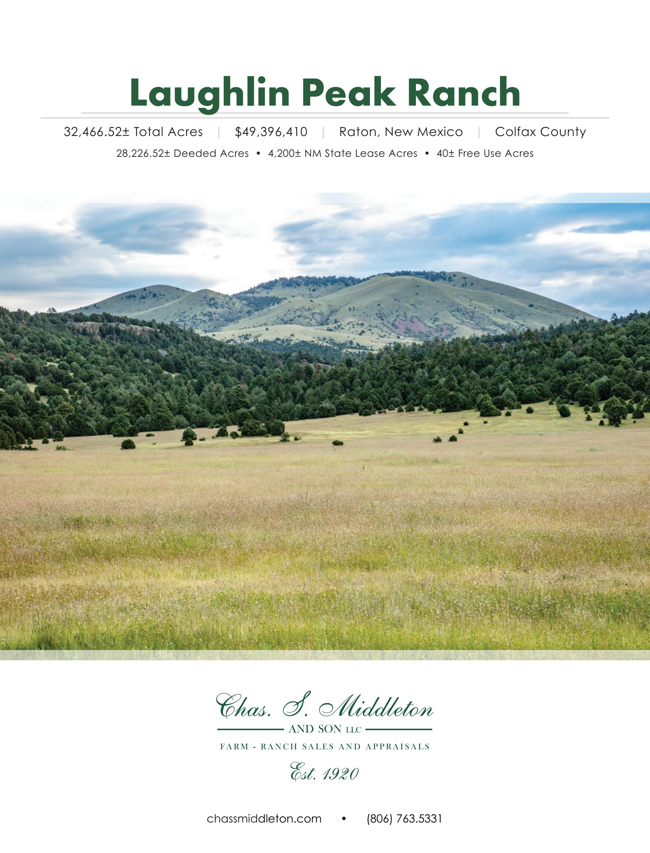 Laughlin Peak Ranch by csmandson - Issuu