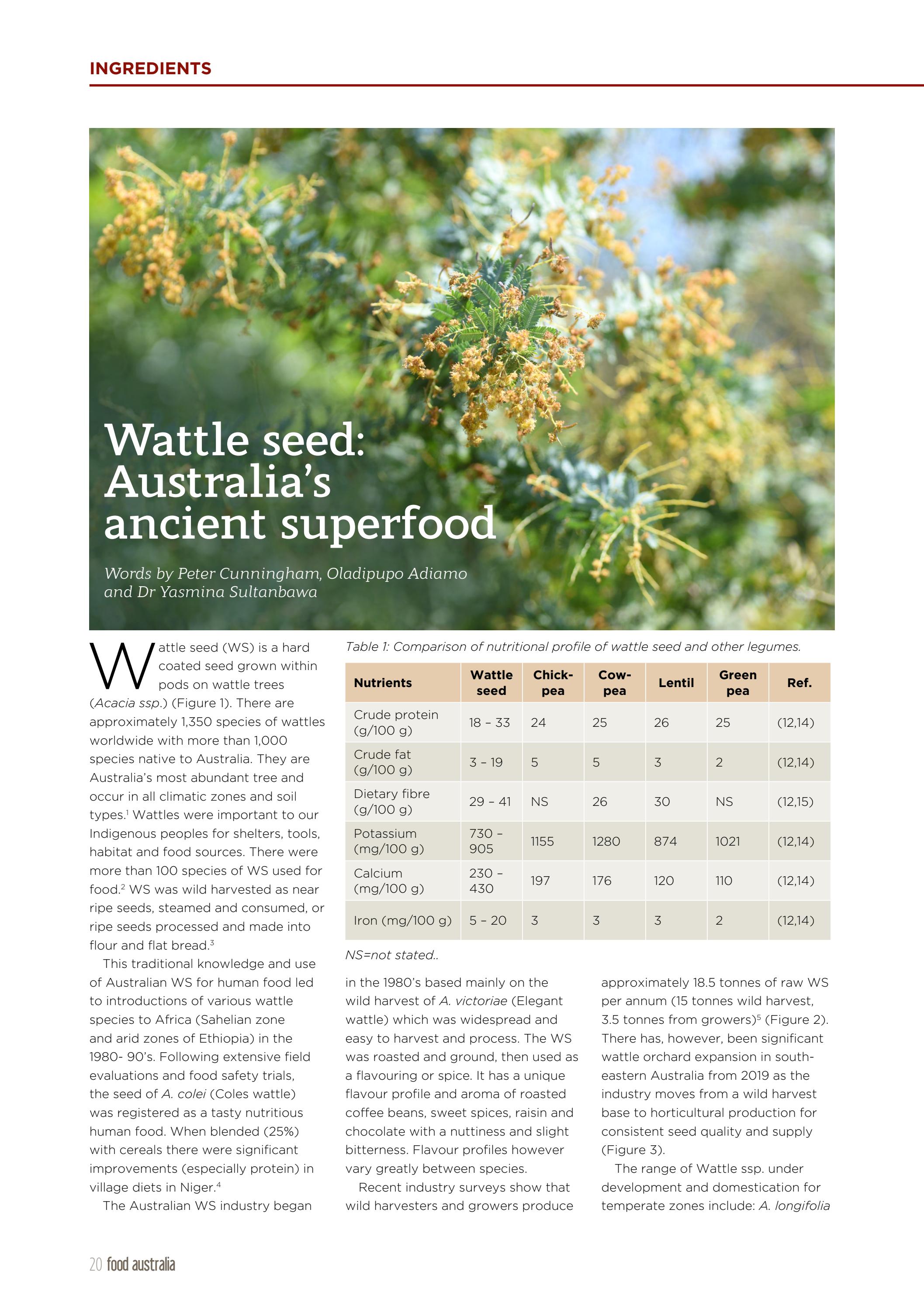 Wattle seed: Australia's ancient superfood_food australia_Oct-Dec_2022 ...