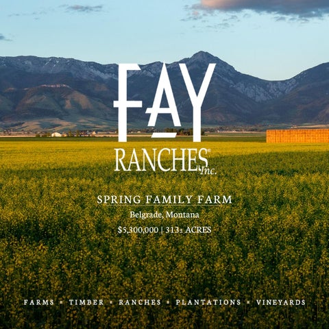 Spring Family Farm | Fay Ranches by Fay Ranches - Issuu