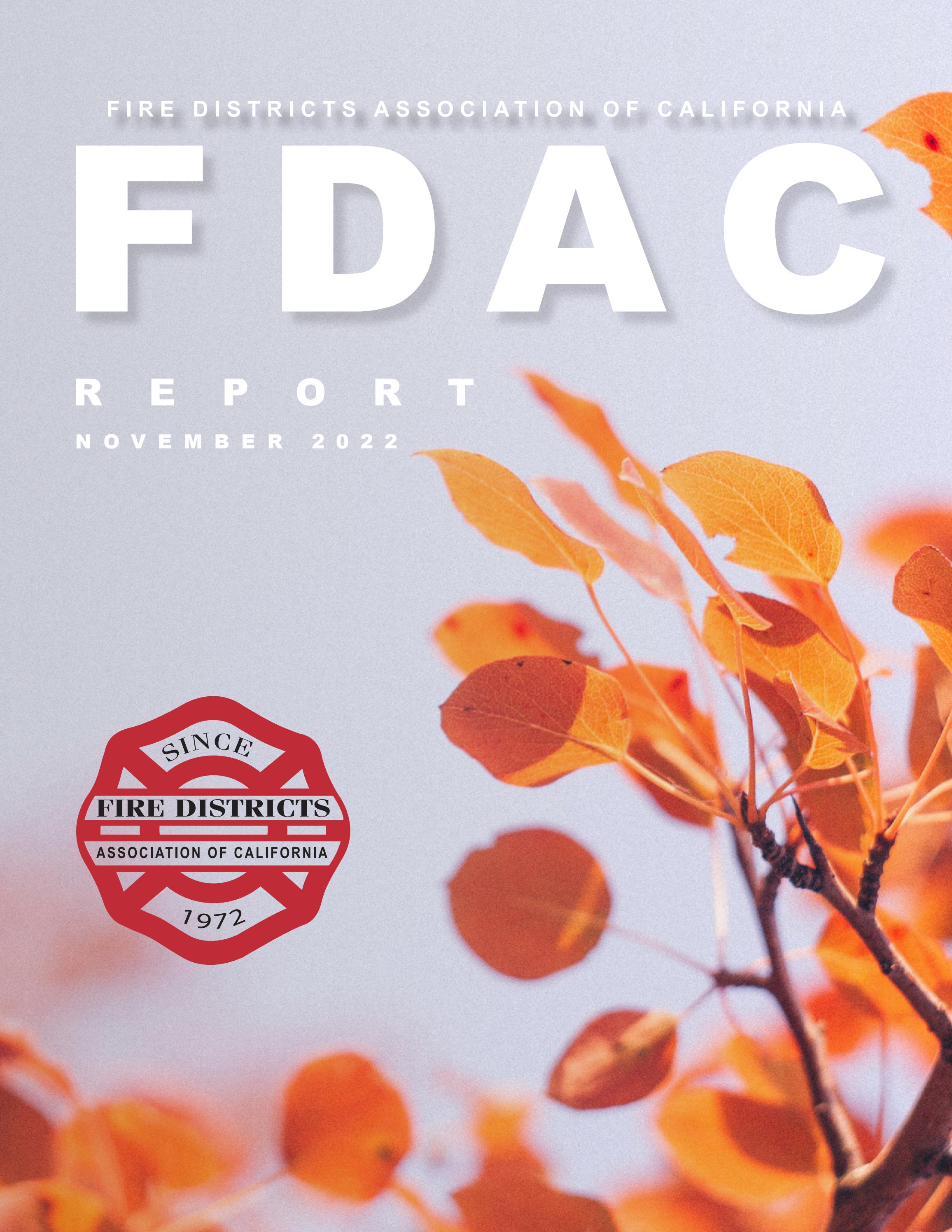 FDAC Report November 2022 by FDAC - Issuu
