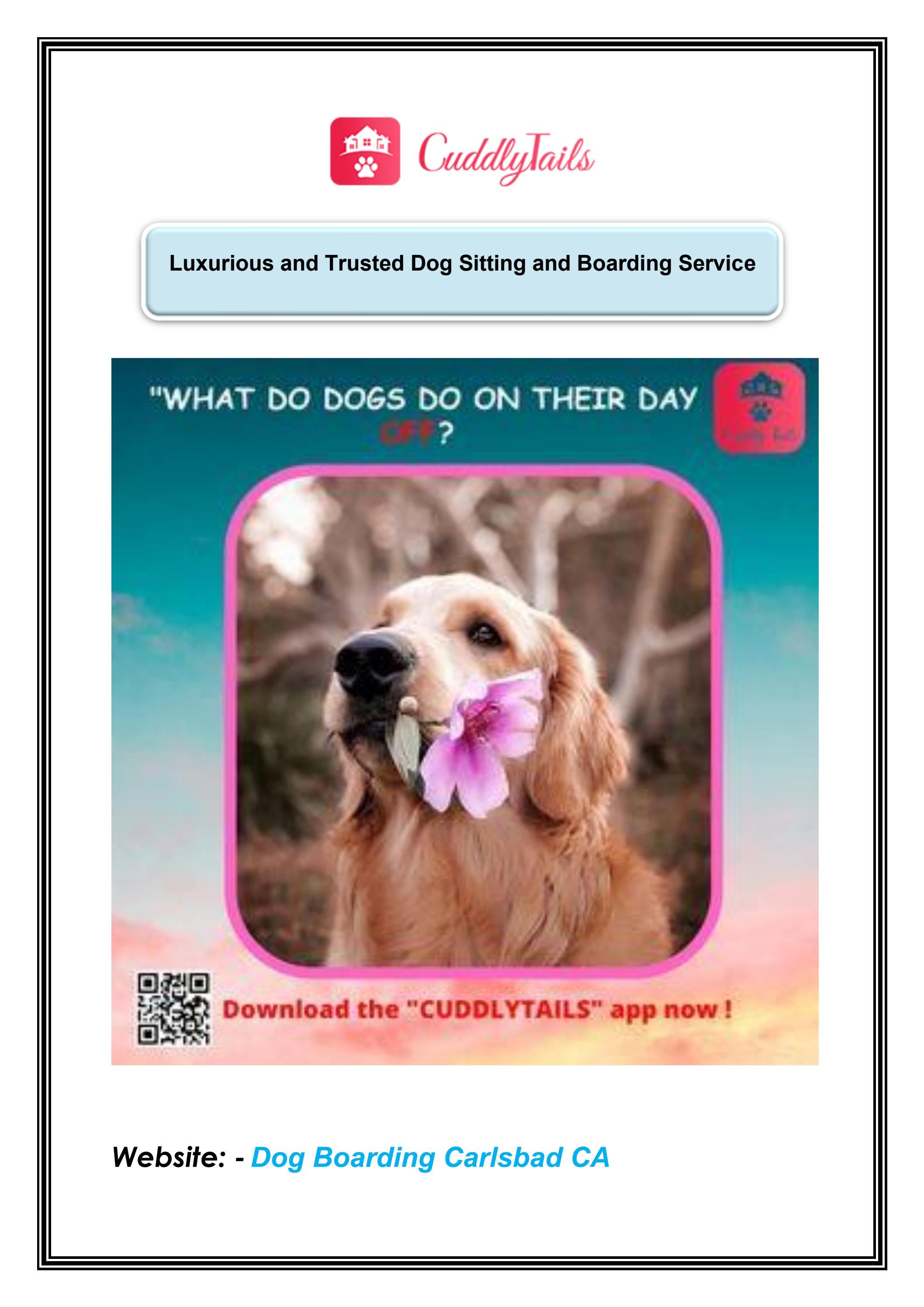 Luxurious and Trusted Dog Sitting and Boarding Service by Cuddly Tails ...