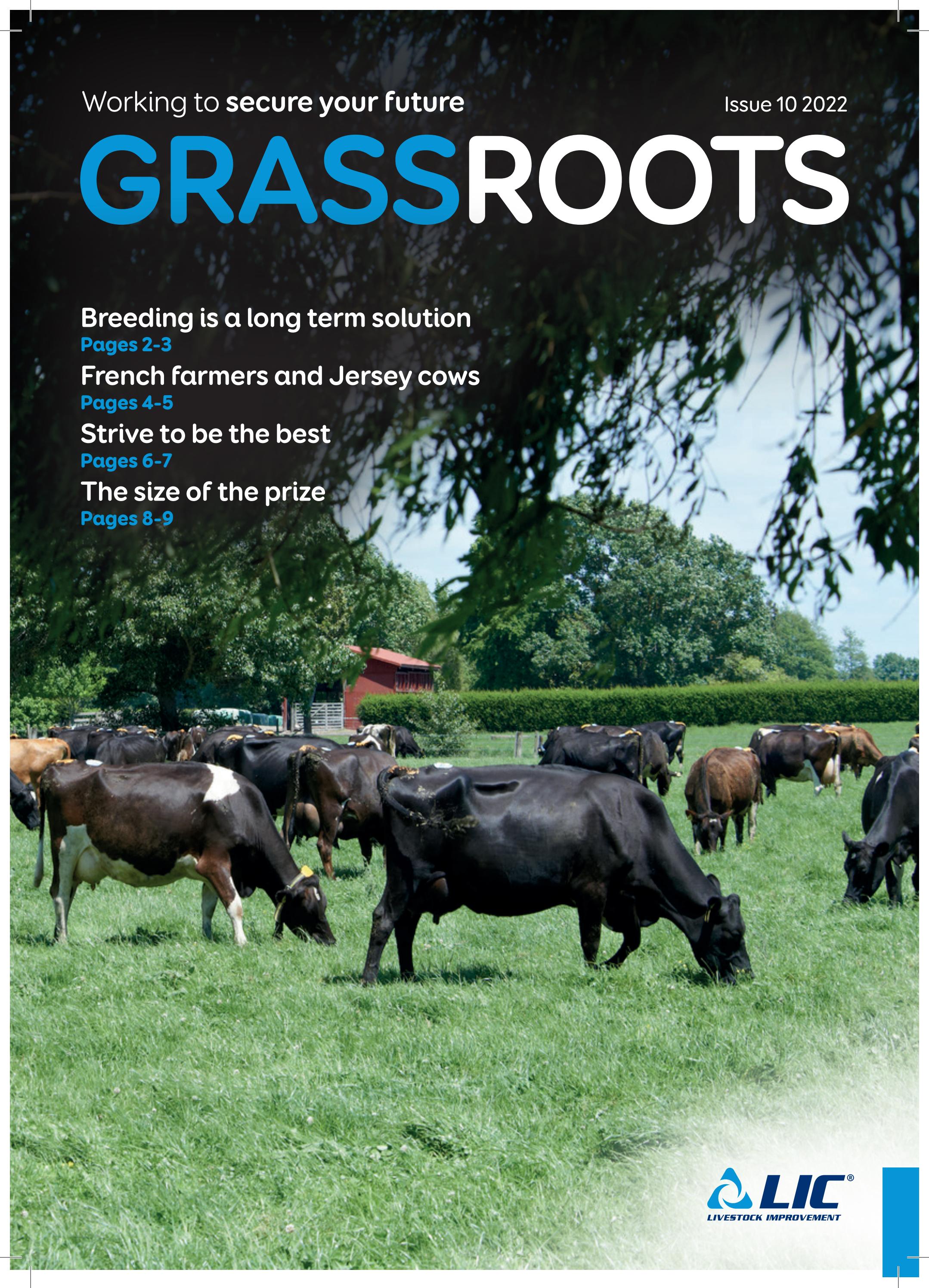 LIC GrassRoots Autumn 2022 by Sarah Peacocke - Issuu