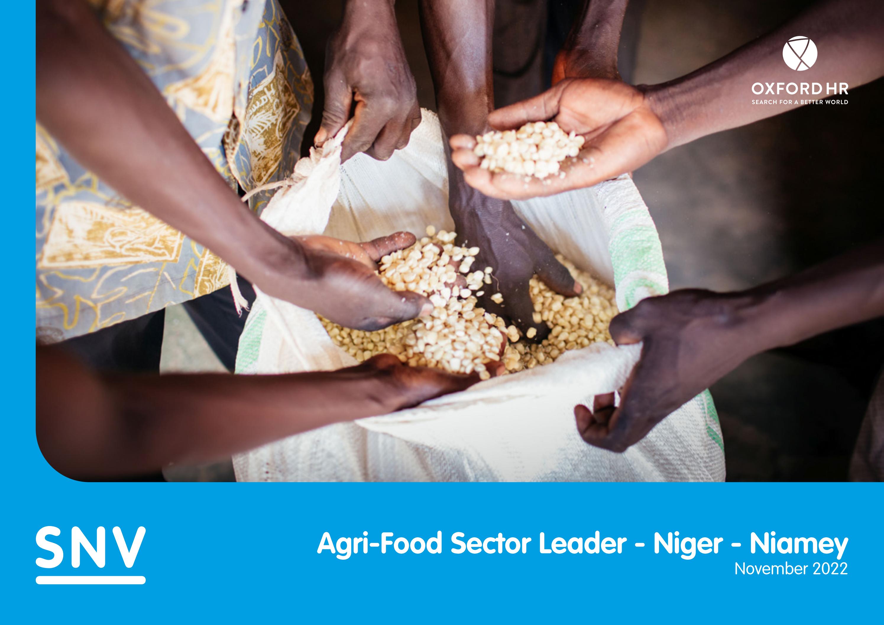 SNV - Agri-Food Sector Leader - Niger - Niamey by Oxford HR - Issuu