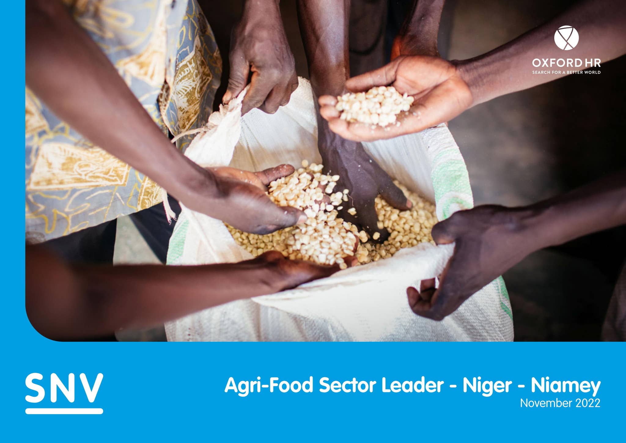SNV - Agri-Food Sector Leader - Niger - Niamey by Oxford HR - Issuu