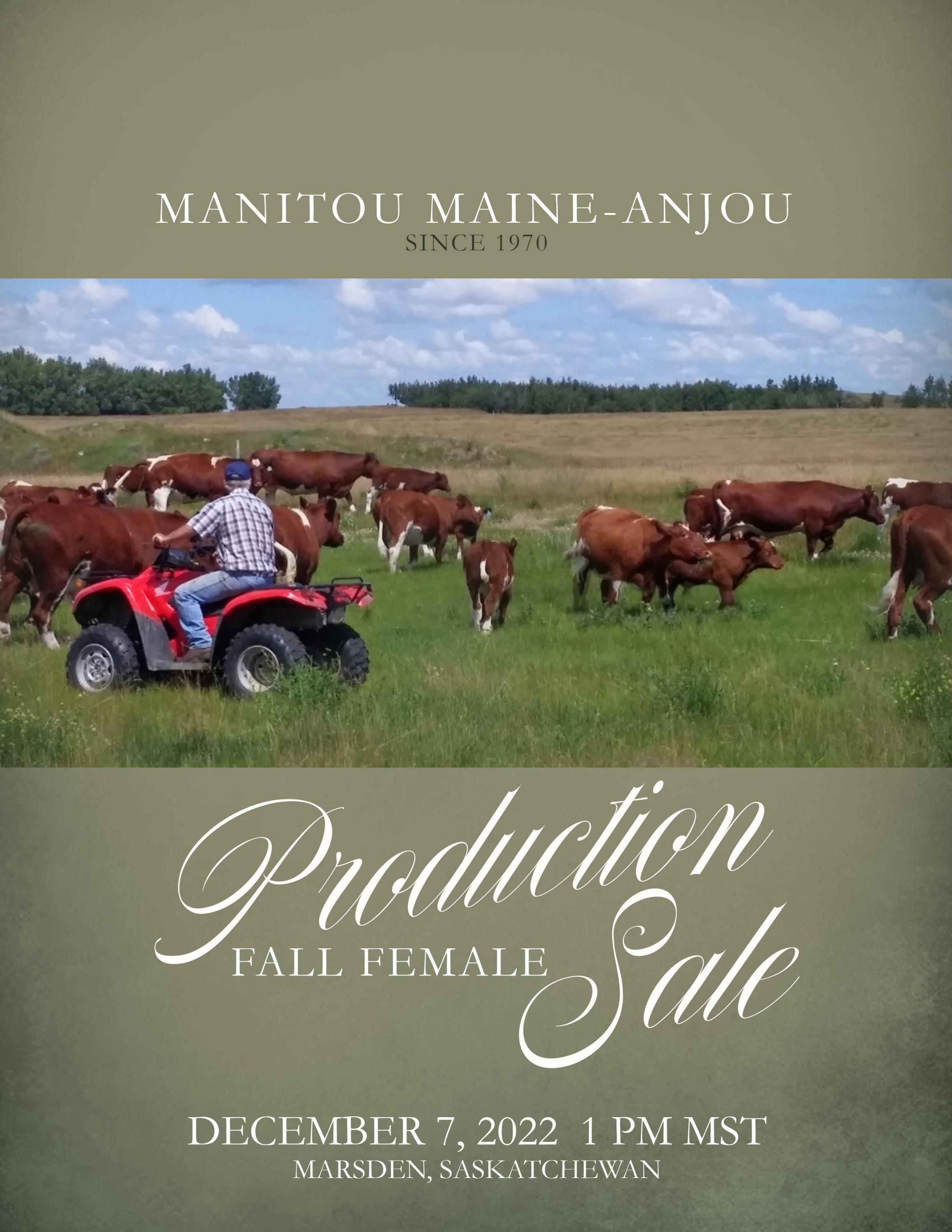 Manitou Maine-Anjou Fall Female Production Sale 2022 by Keltey Whelan ...