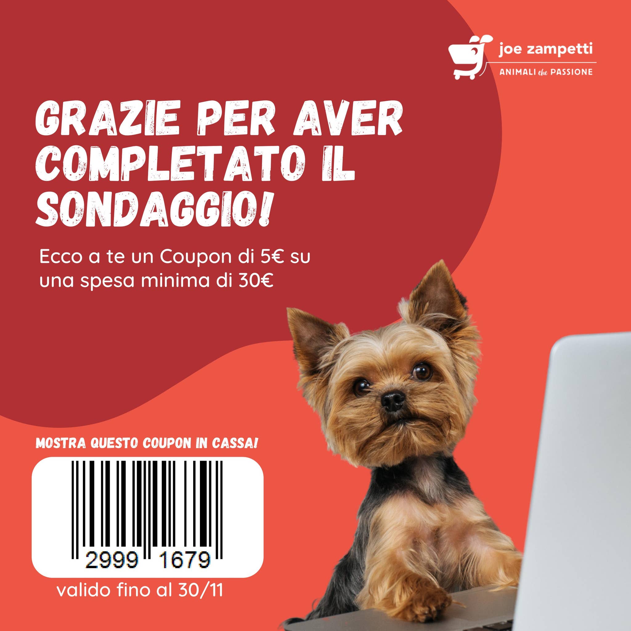 Conosciamoci meglio! by Joe Zampetti - Issuu