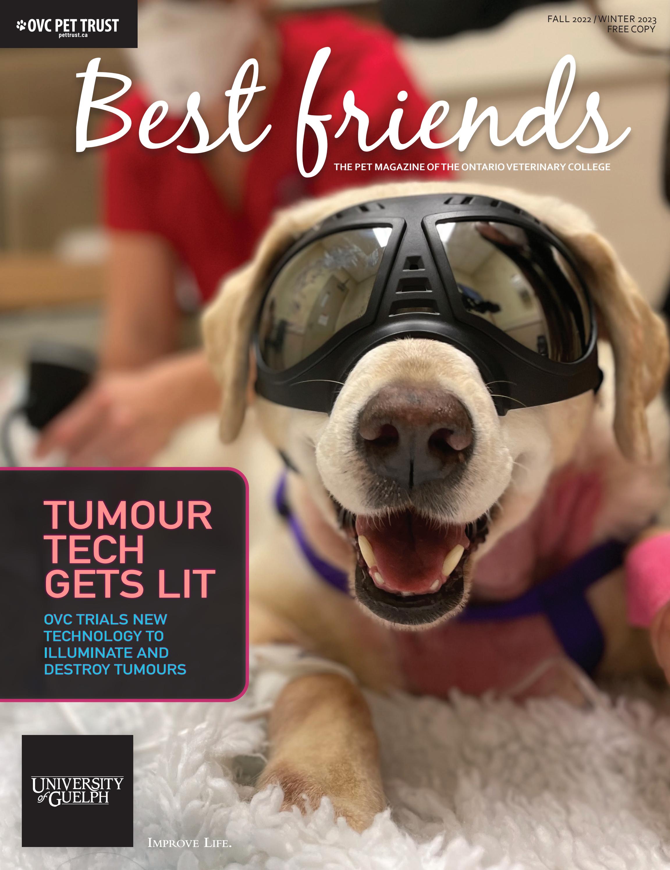 Best Friends, Pet Magazine, Ontario Veterinary College, Fall 2022 ...