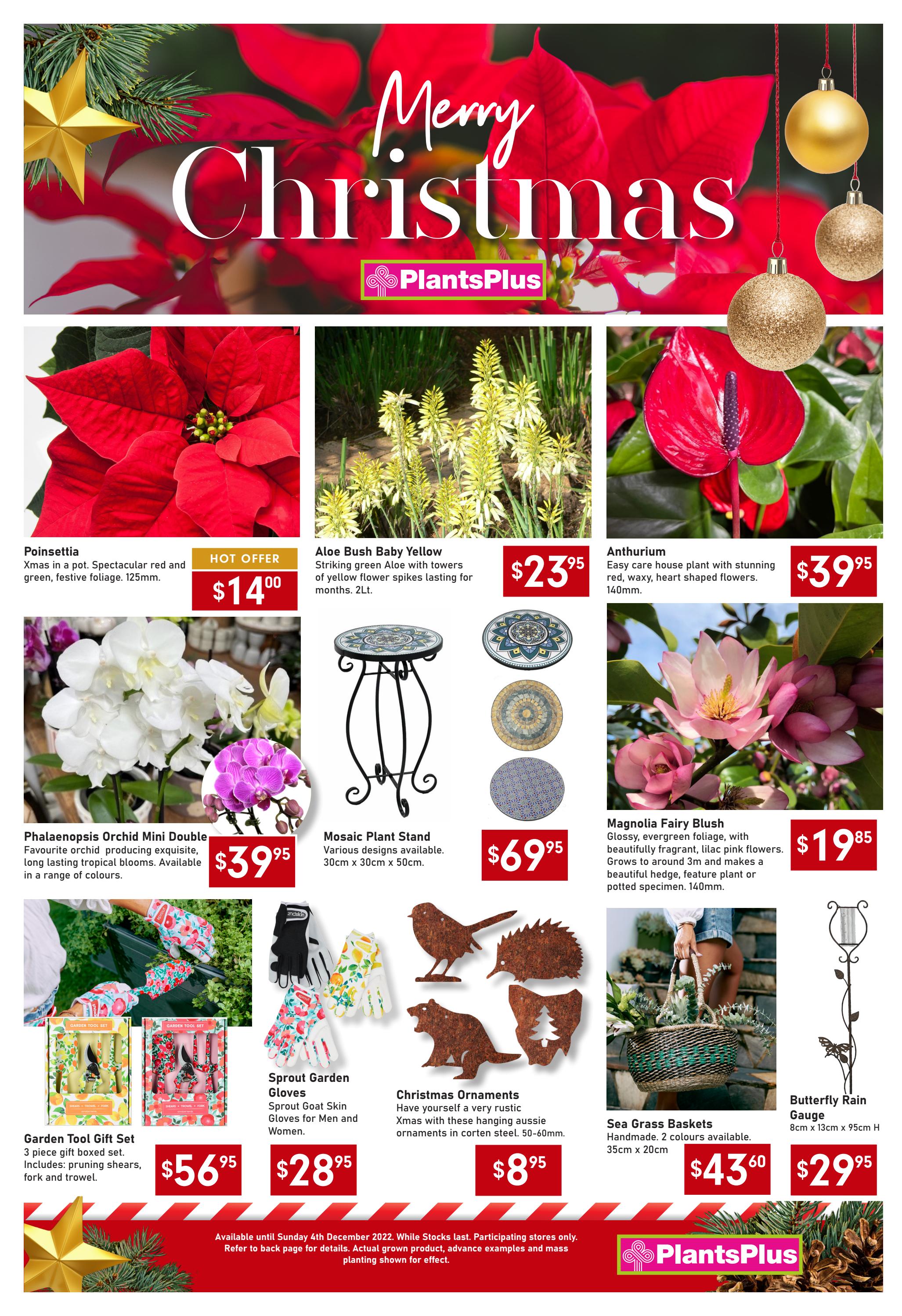 Plants Plus Tasmania - Christmas Catalogue 2022 by Gro Australia - Issuu