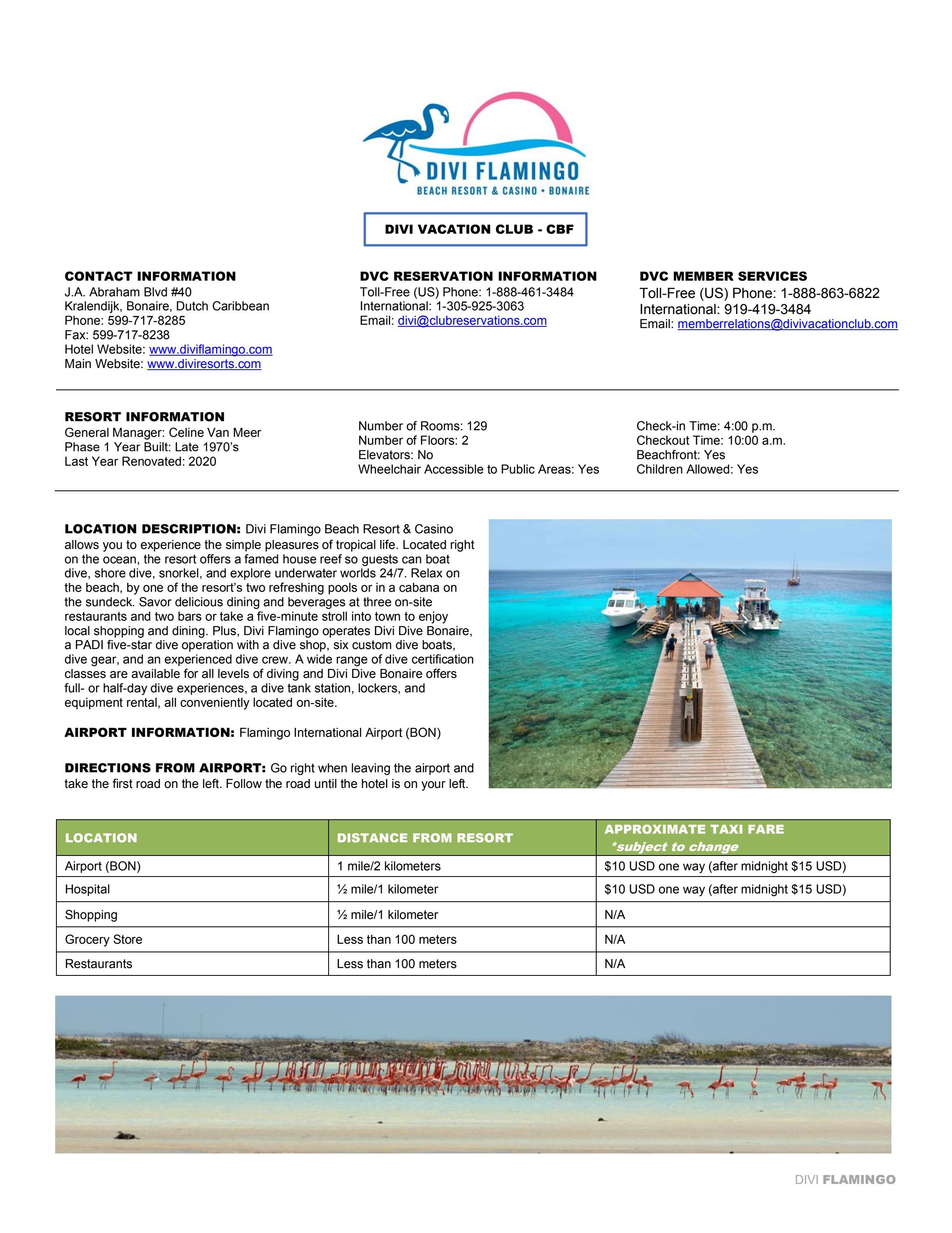 Divi Flamingo Beach Resort & Casino, Bonaire - DVC Fact Sheet by Divi ...