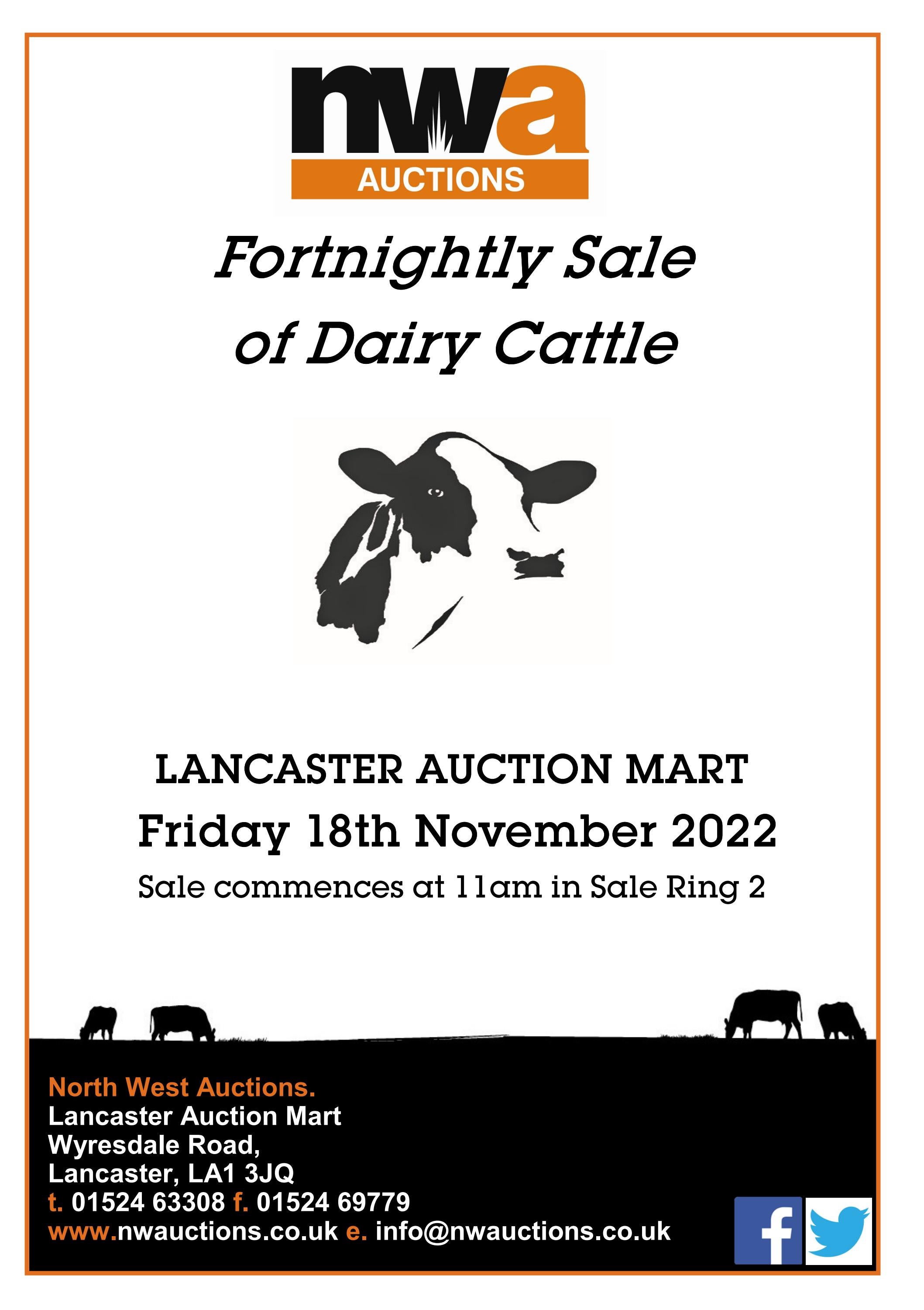 Lancaster Dairy Sale, Friday 18th November 2022. by North West Auctions ...
