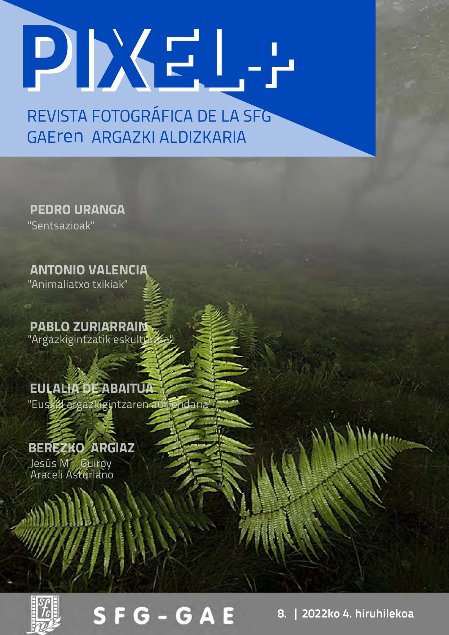 Revista Pixel+, nº8 / Pixel+ aldizkaria, 8. zbk by Pixel+ - Issuu
