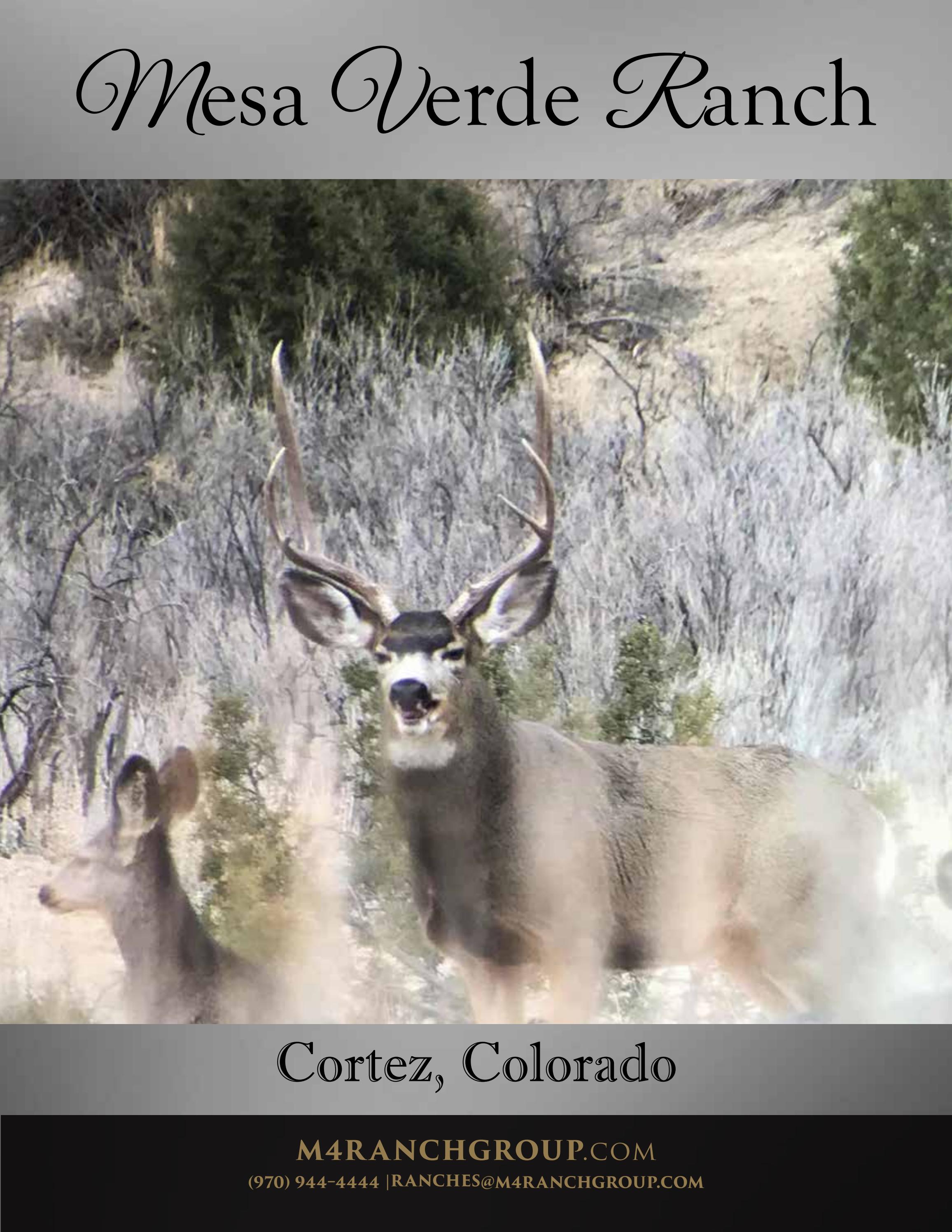 Mesa Verde Ranch by M4 Ranch Group - Issuu