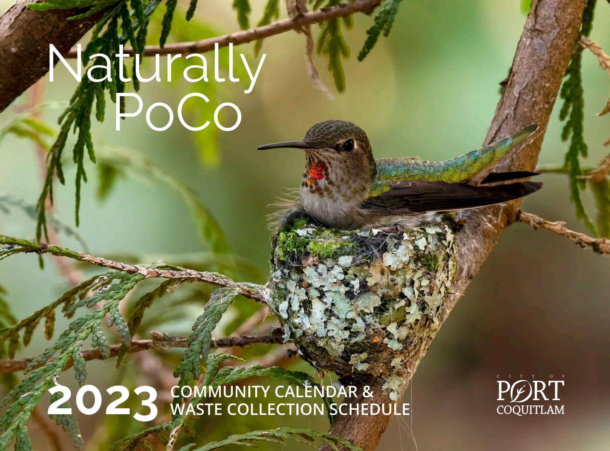 2023 Community Calendar and Waste Collection Schedule by City of Port ...