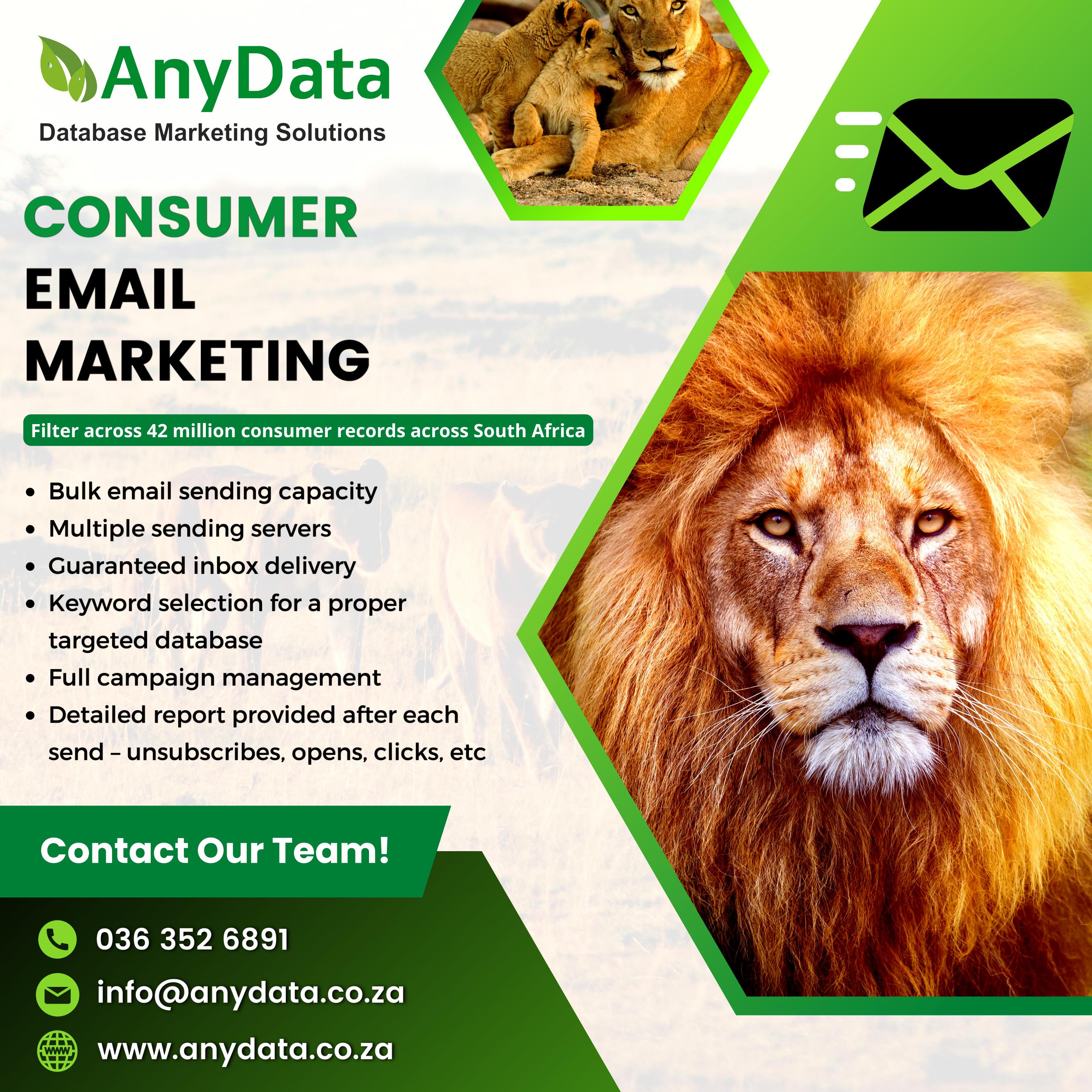 Consumer Email Marketing by anydatasa - Issuu