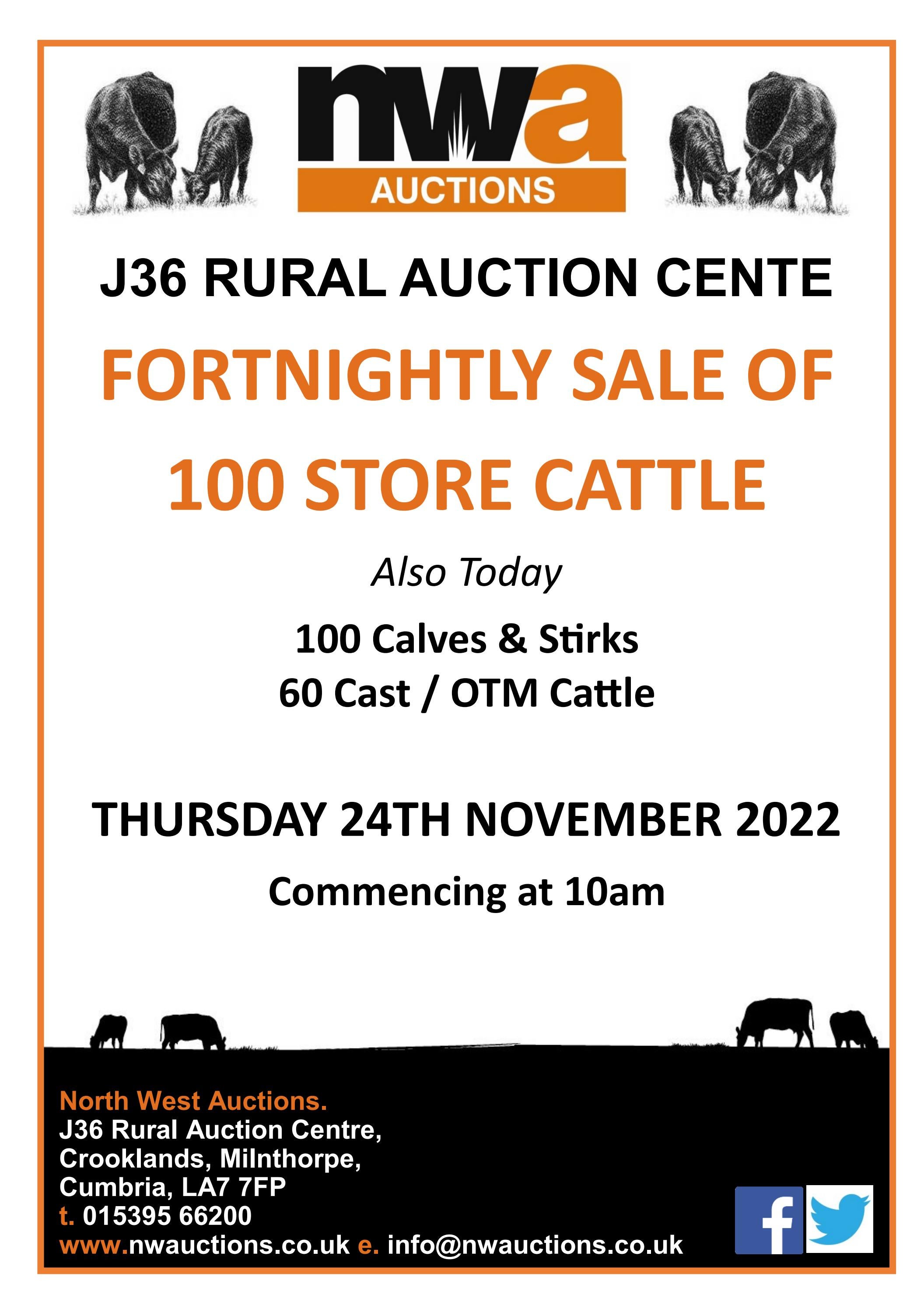 J36 Store Cattle Catalogue by North West Auctions - Issuu