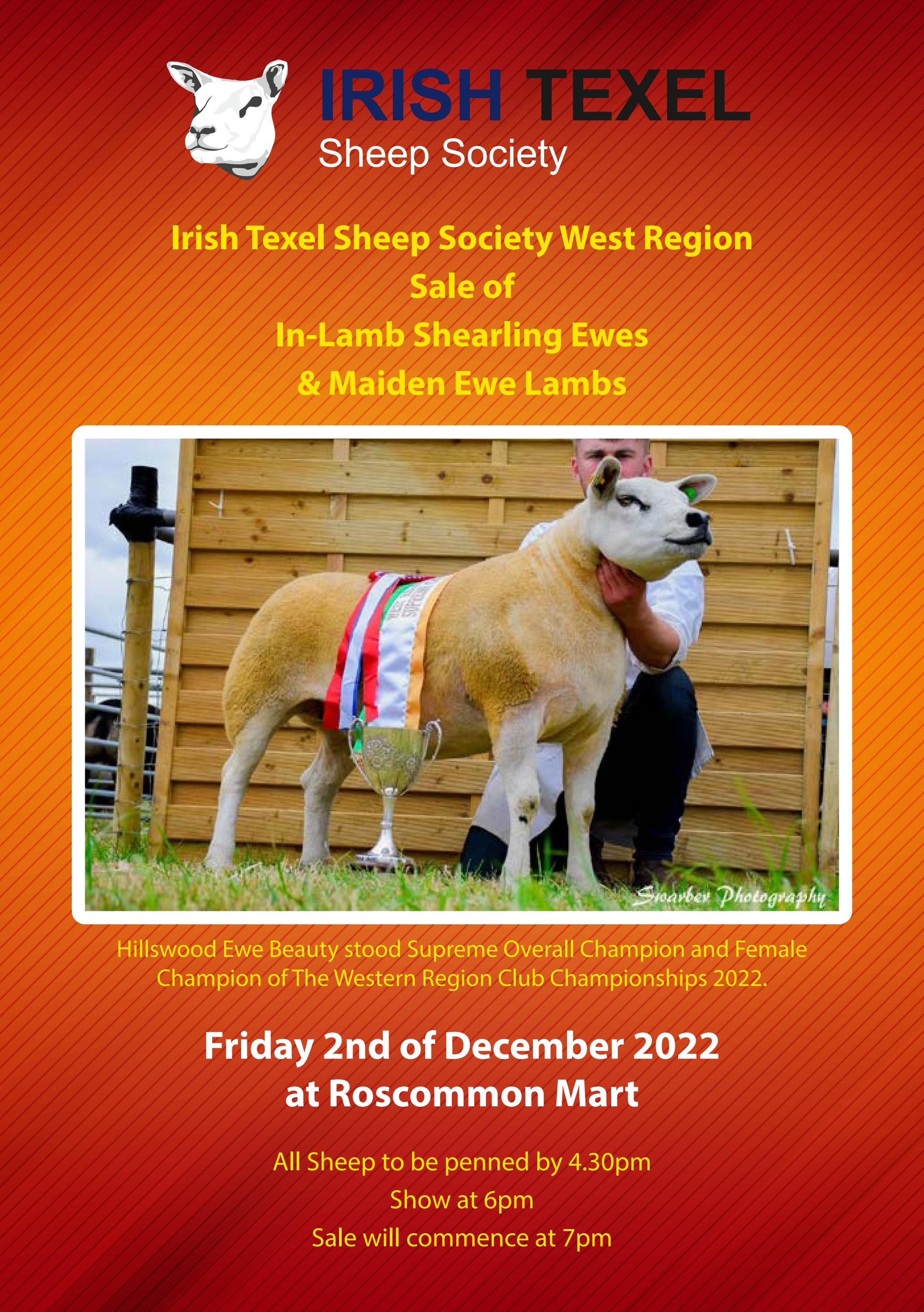 West of Ireland In Lamb Sale by Irish Texel Sheep Society - Issuu