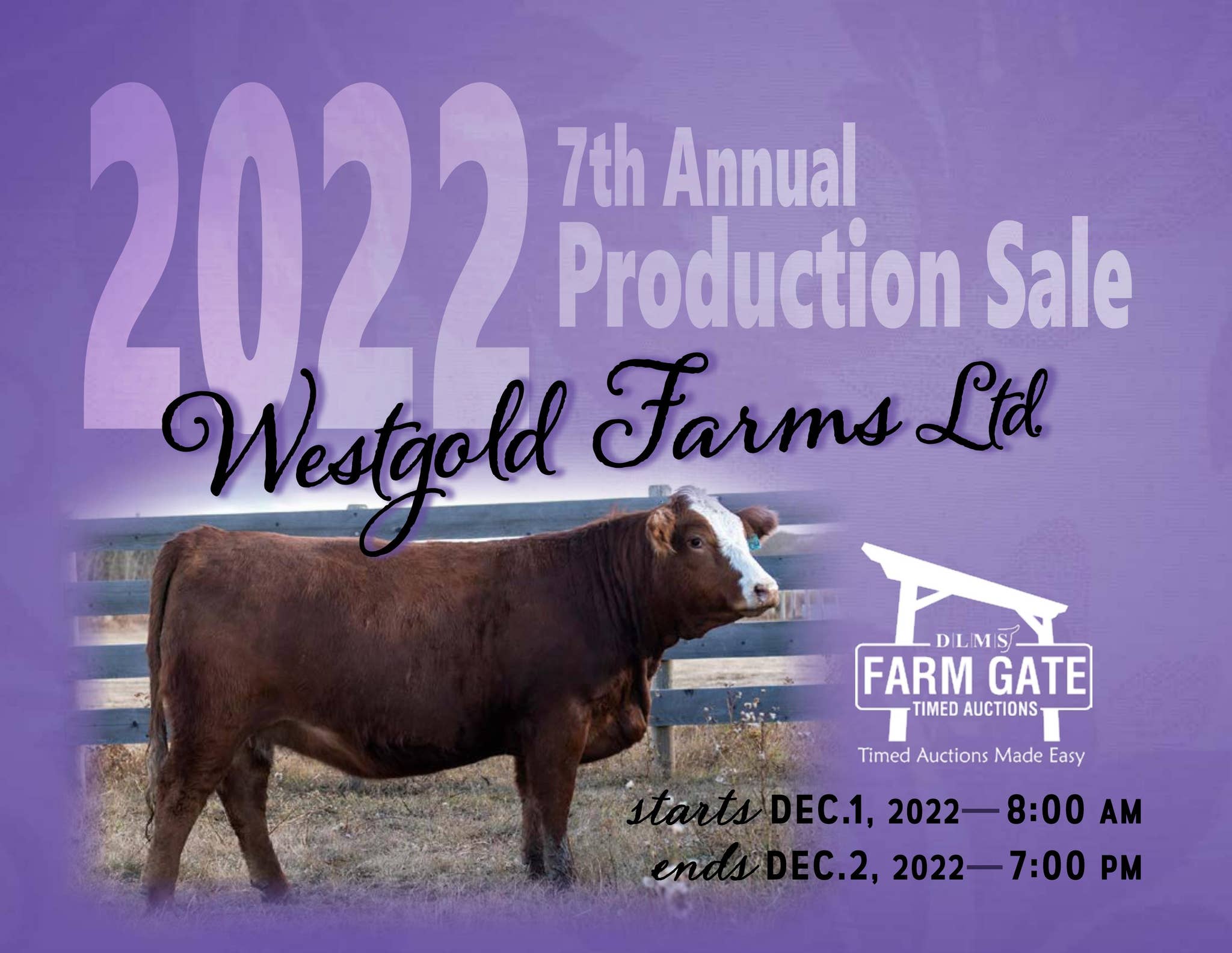 Westgold Bred Heifer Sale - DLMS Farm Gate Timed Auction by DLMS ...