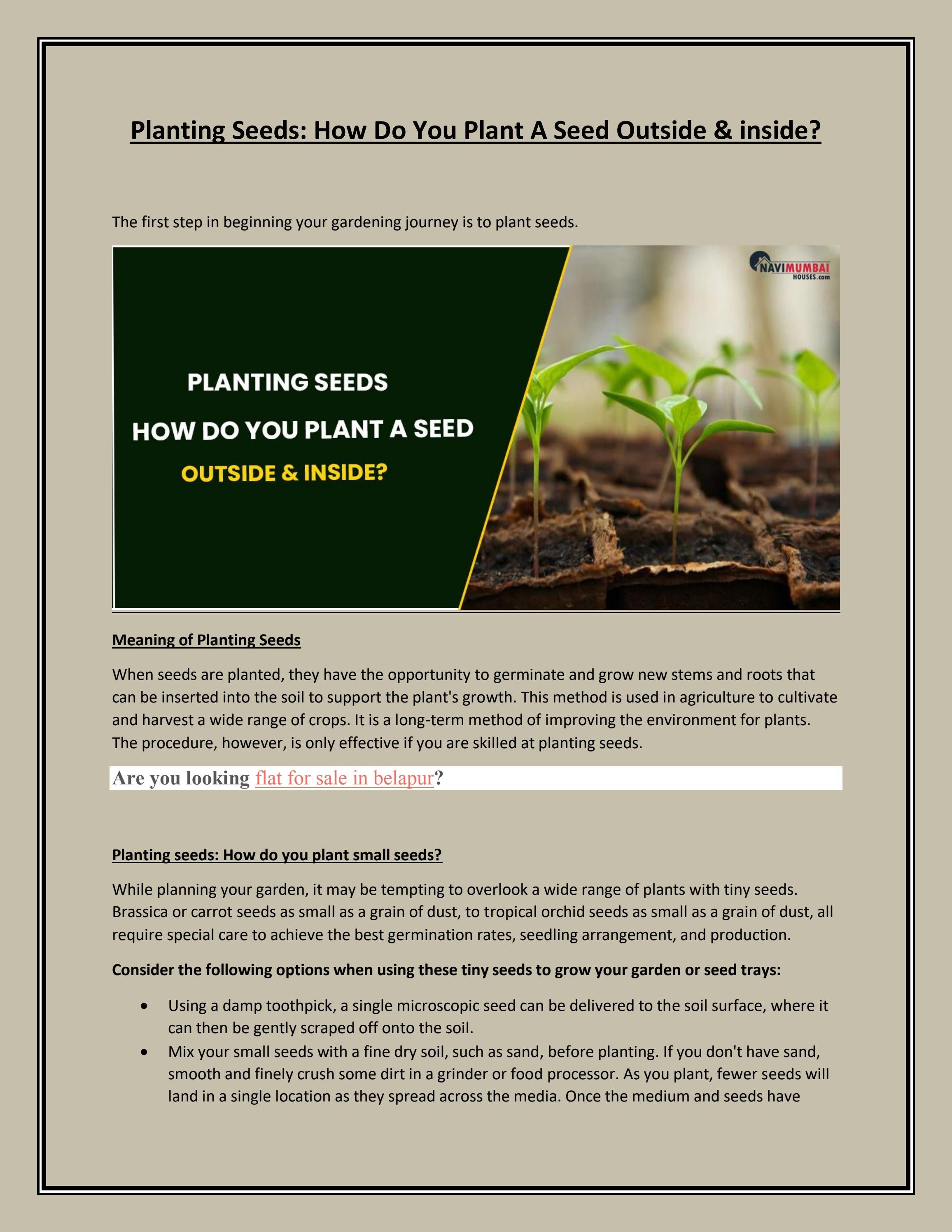 Planting Seeds How Do You Plant A Seed Outside And Inside By Nhmhouses Issuu